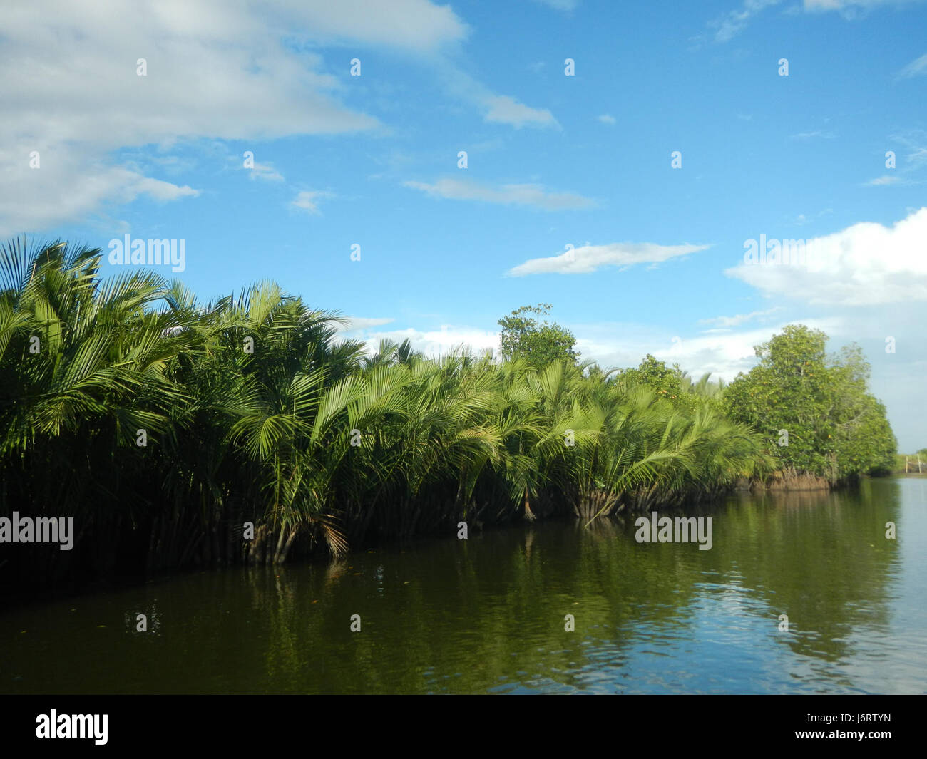 This image depicts the banks of the Malolos River in Bulacan ...