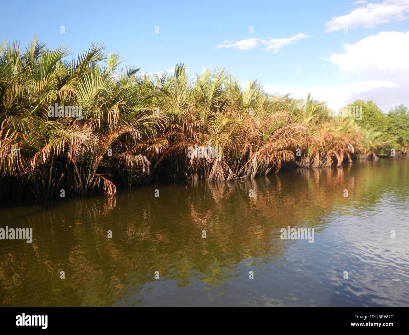 The image captures the scenic riverbanks of Malolos and Bulakan ...