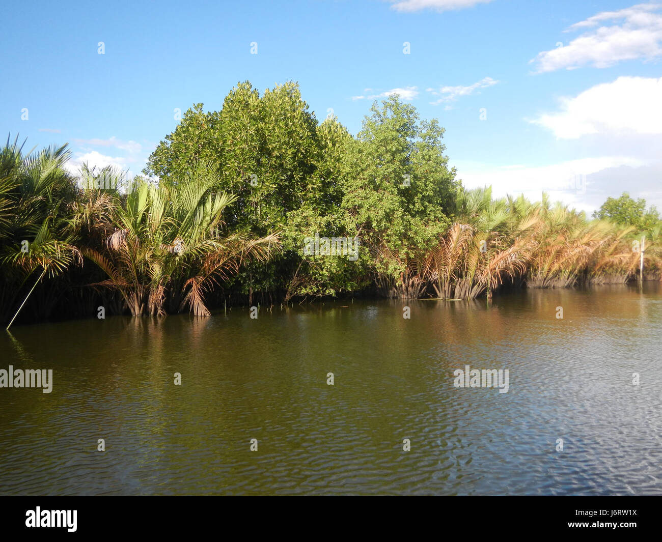 This image depicts the riverbanks of the Panasahan and San Nicolas ...