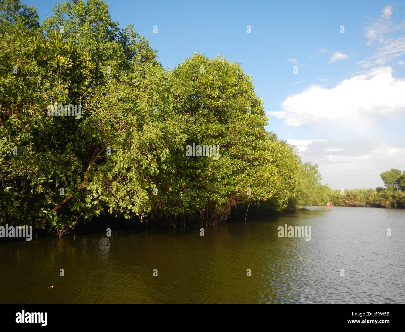 The districts of Malolos and Bulakan, situated along the Bulakan River ...