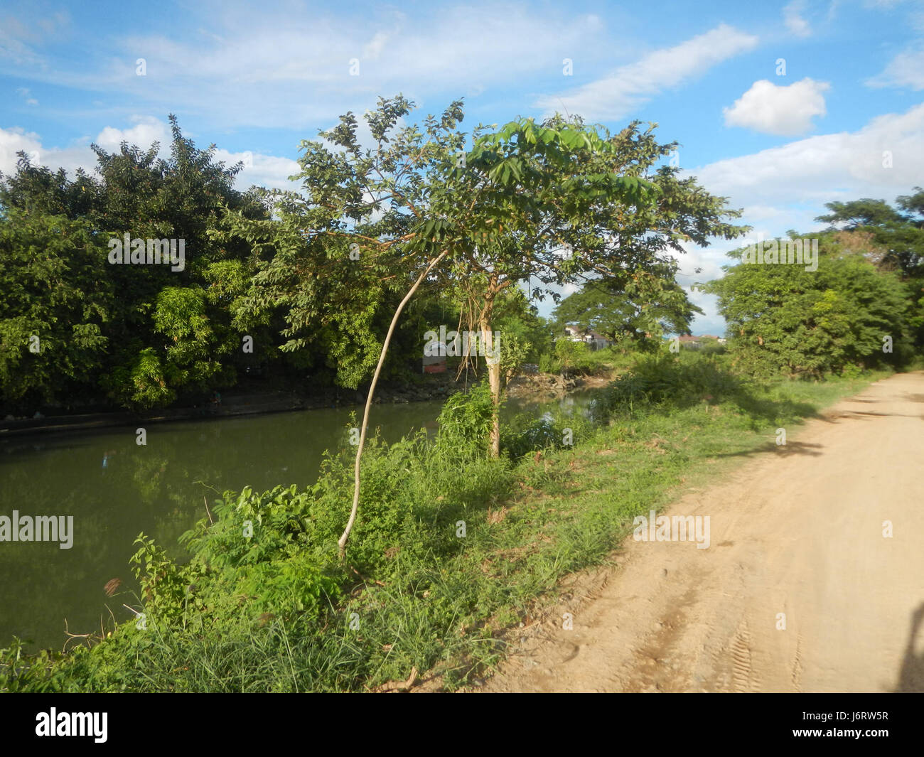 An aerial photograph showing paddy fields, trees, and irrigation canals ...
