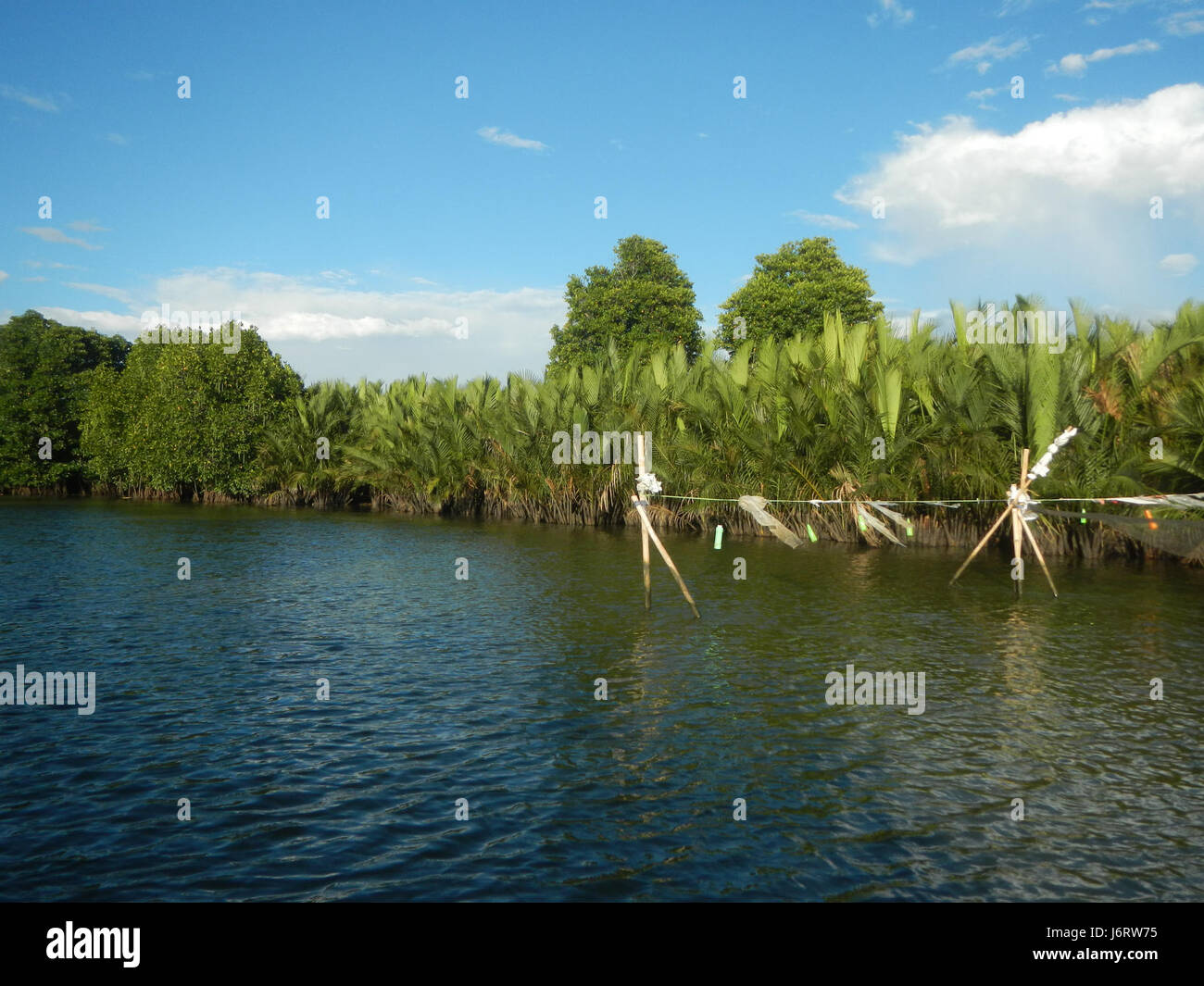 This image captures the riverbanks of Malolos, Bulacan, featuring the ...