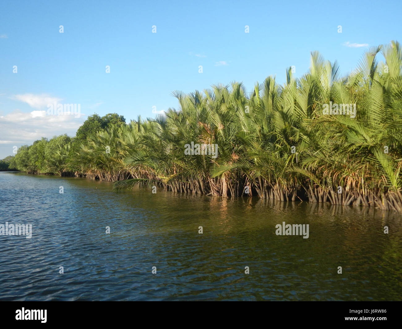 This image captures the river districts along the Malolos River in ...