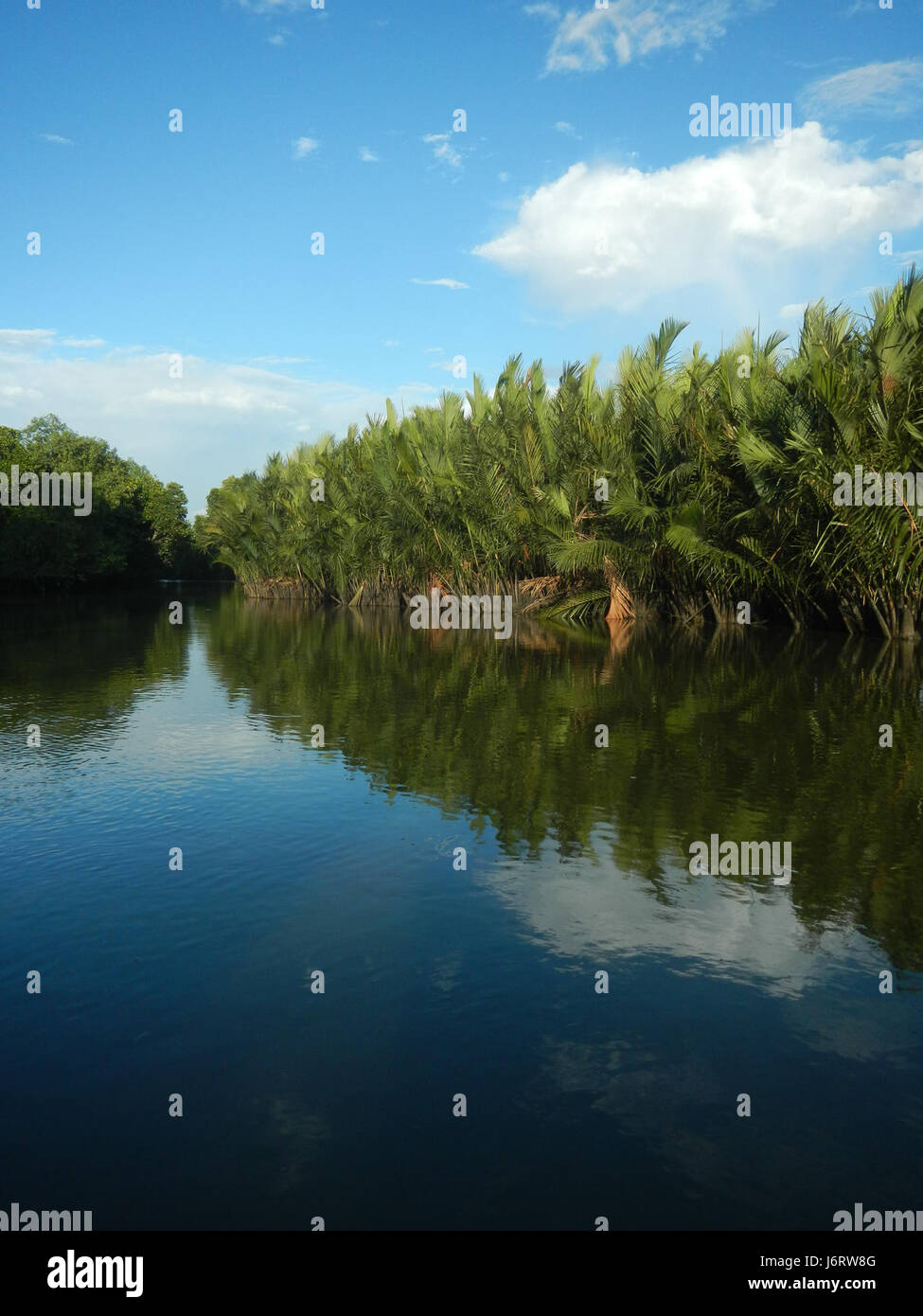 The Malolos and Bulakan River districts, located along the Panasahan ...