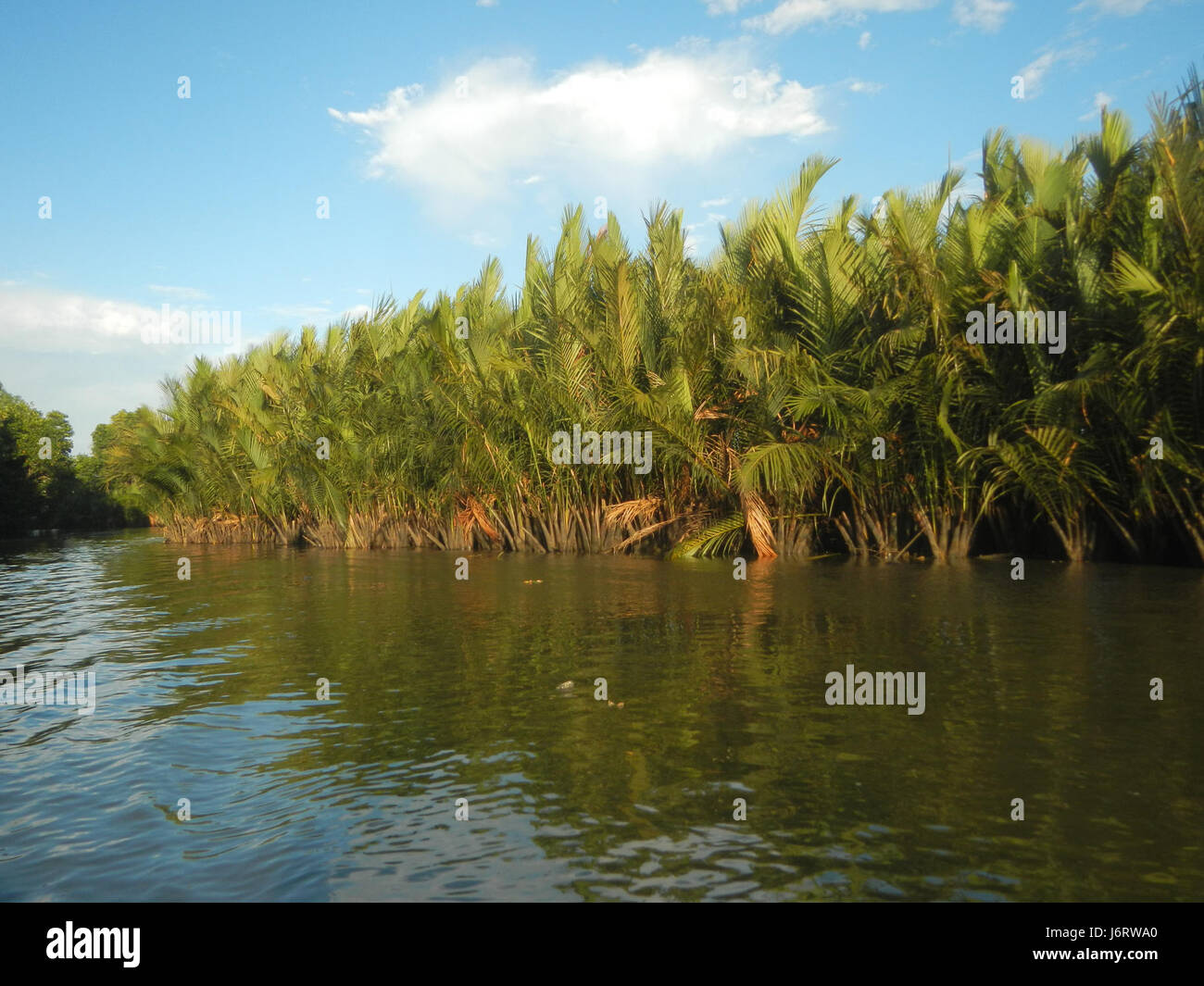 A photograph of the Malolos, Bulakan river districts, showing the San ...