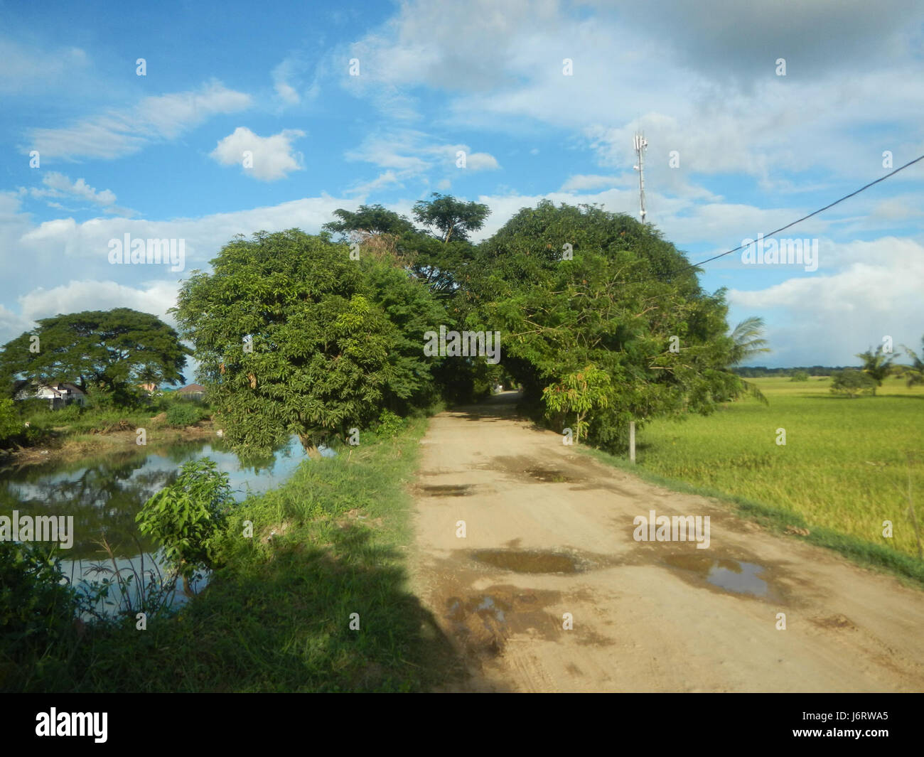 This image depicts a rural scene in Talampas, Bustos, Bulacan ...