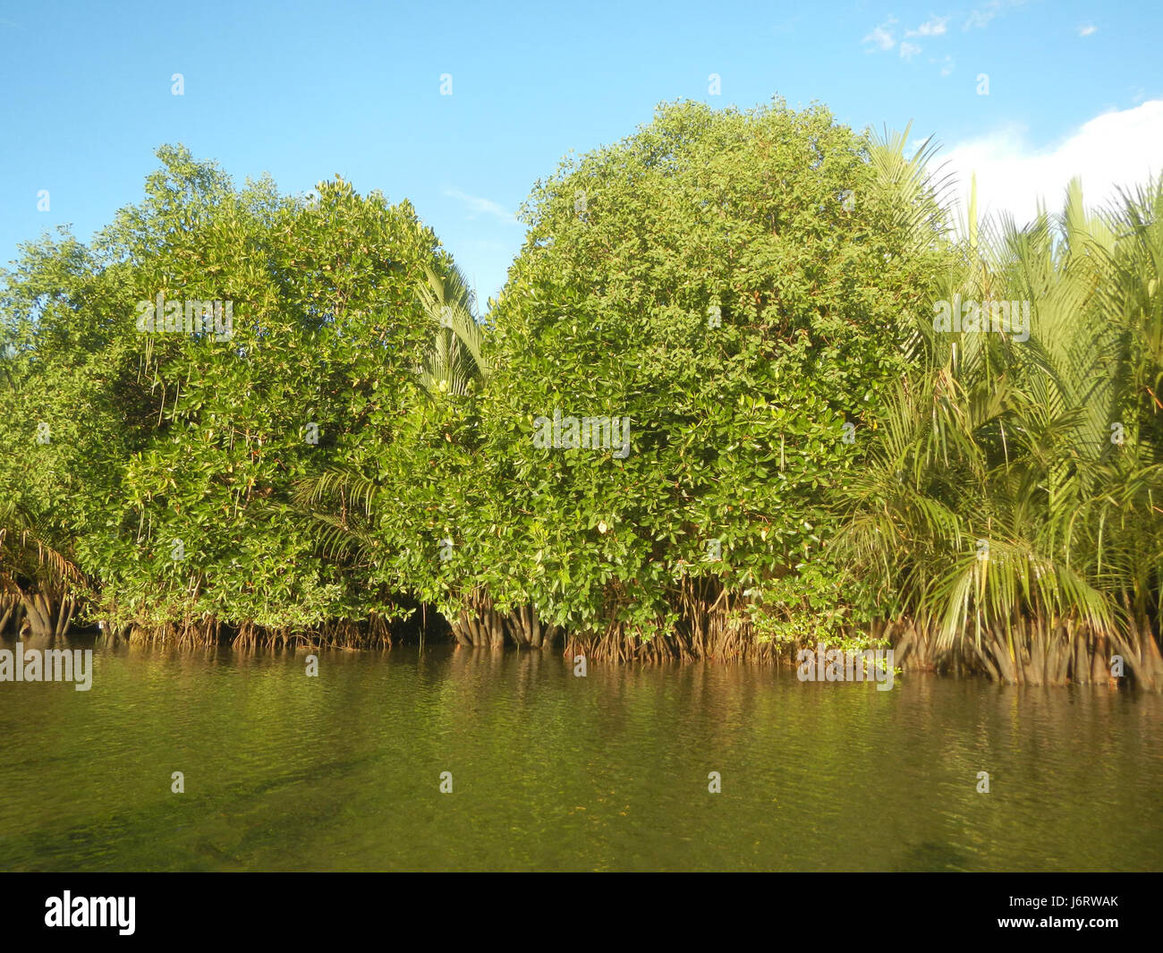 This map outlines the Malolos River Districts in Bulakan, Philippines ...