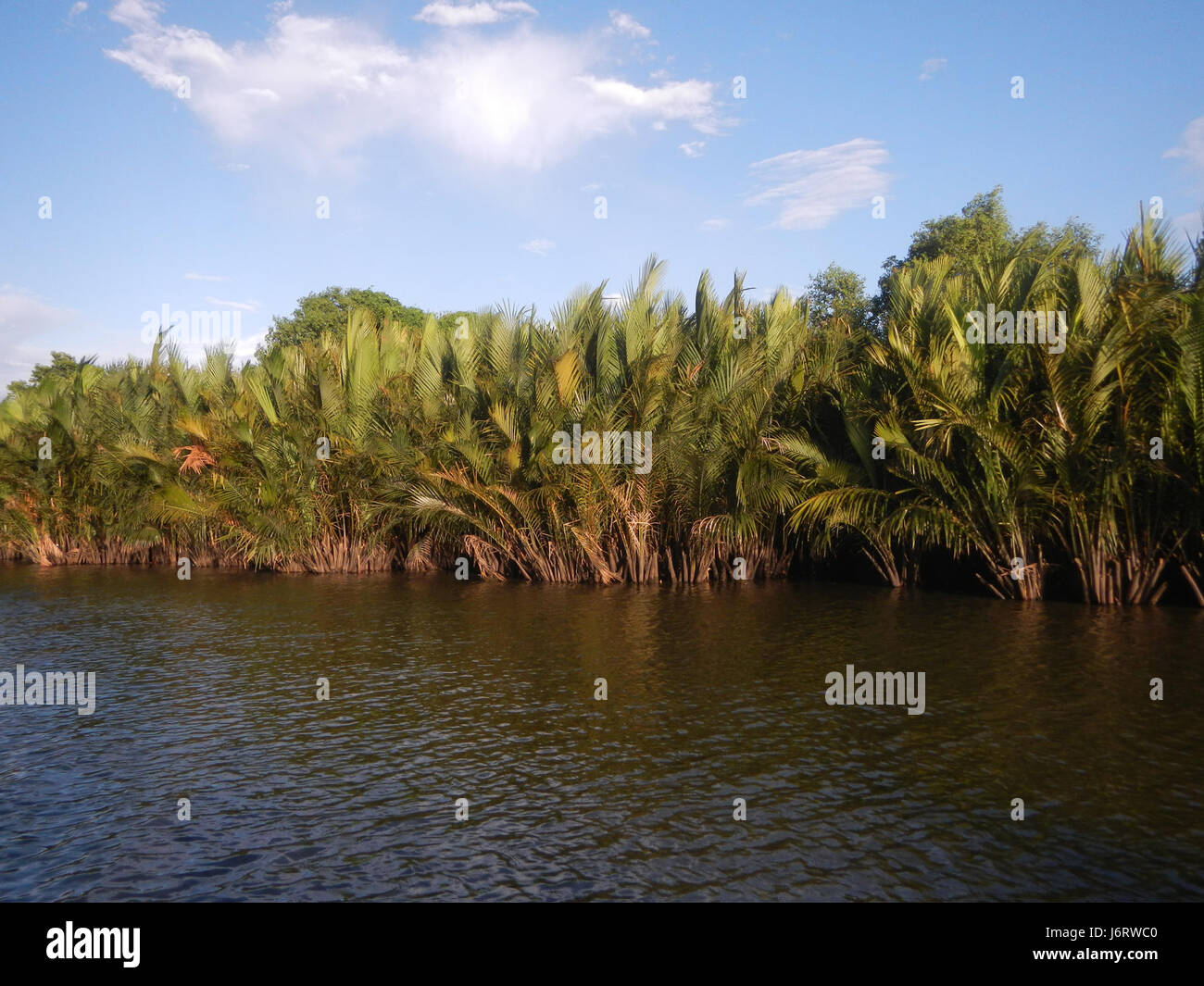 The image shows the riverbanks of the Panasahan and San Nicolas ...
