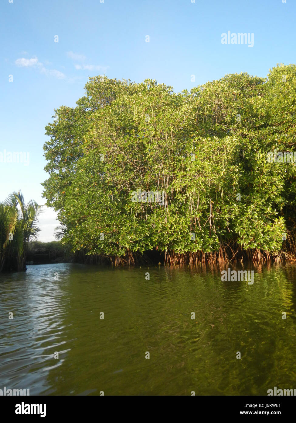 This view shows the riverbanks of the Malolos-Bulakan River Districts ...