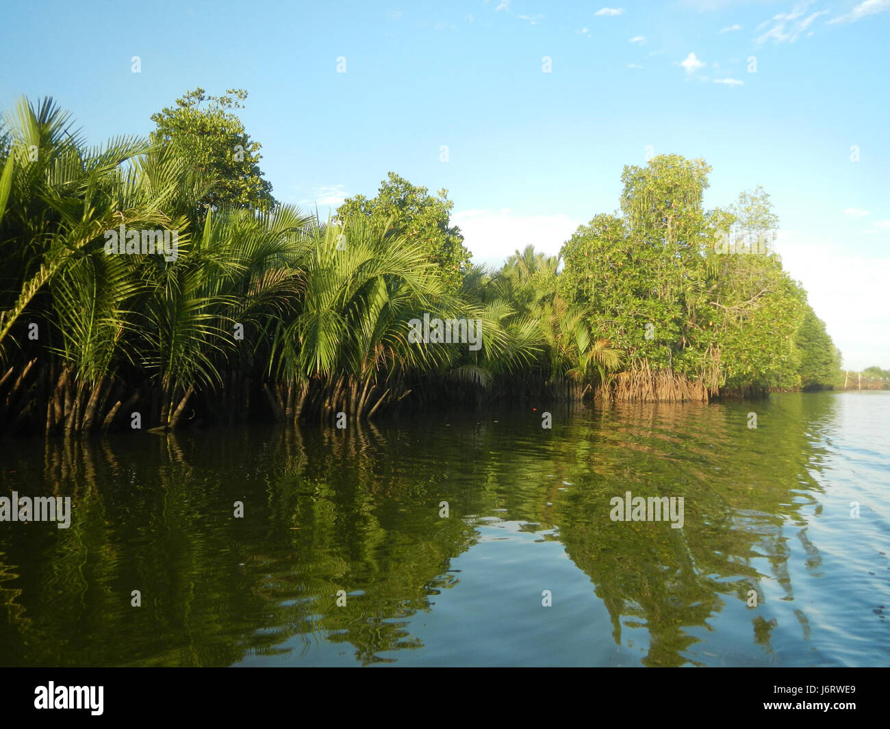 This photograph shows the riverbanks of the Panasahan and San Nicolas ...
