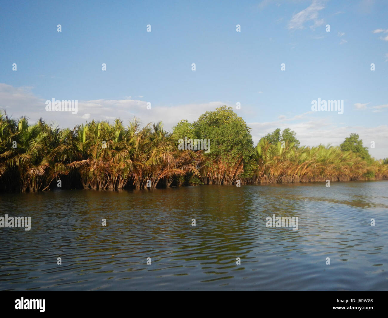 Photograph of the Malolos River districts in Bulakan, Philippines ...