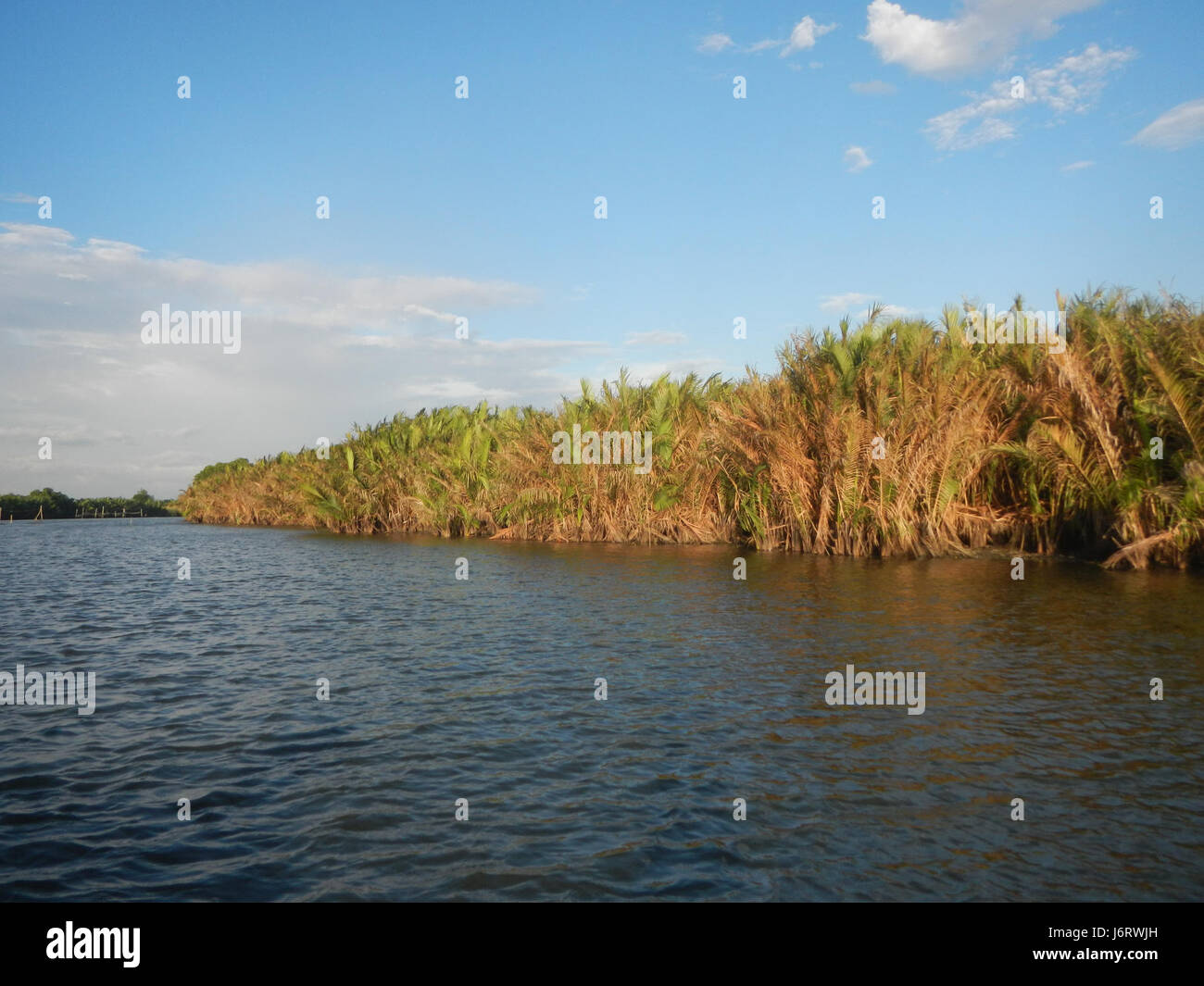 This image showcases the riverbanks of Panasahan and San Nicolas in the ...