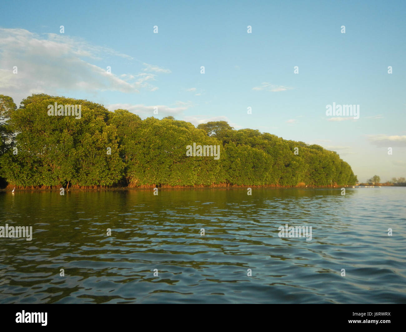 This map details the Malolos and Bulakan districts in the Philippines ...