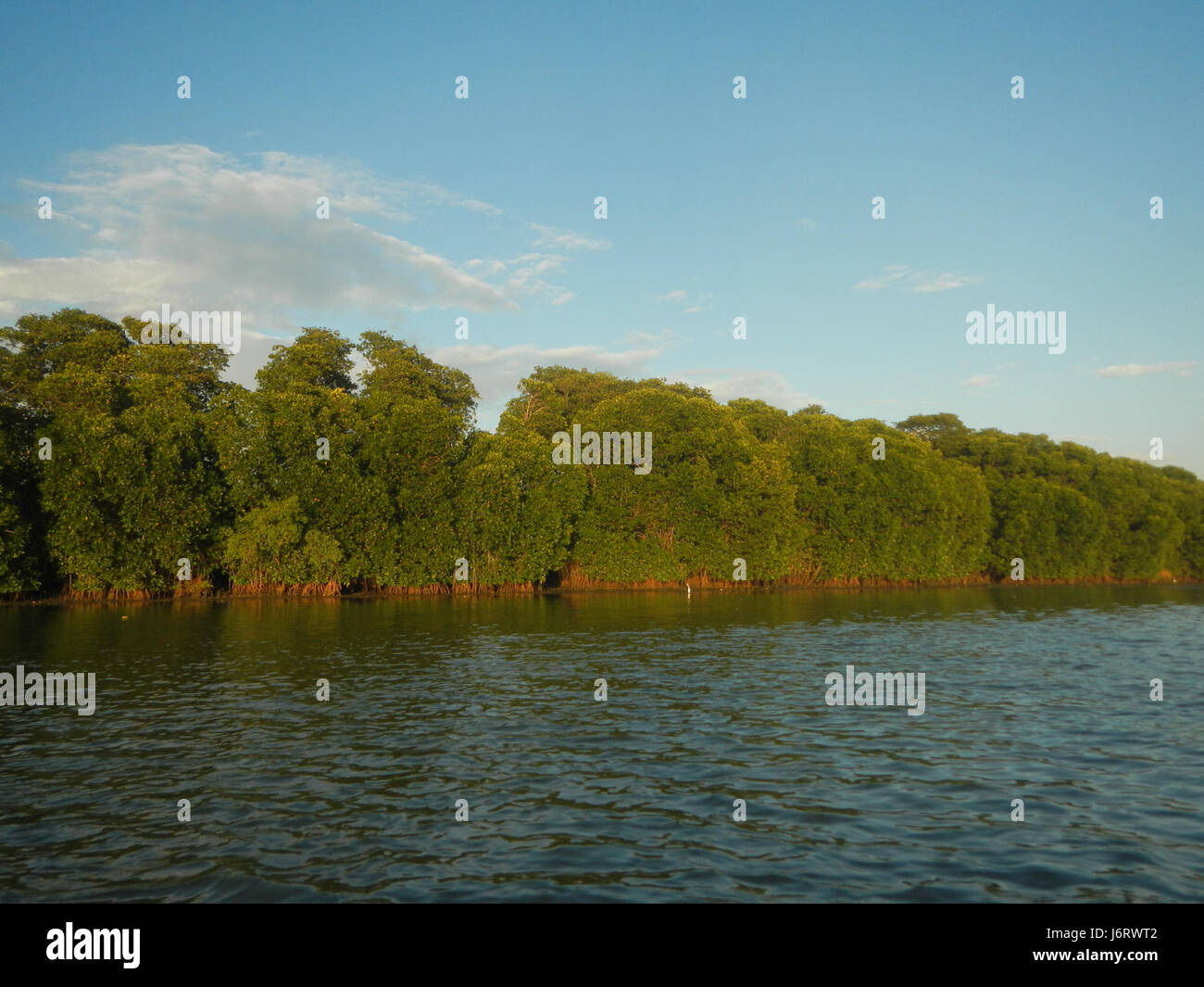 This image depicts the riverbanks along the Bulakan River, highlighting ...