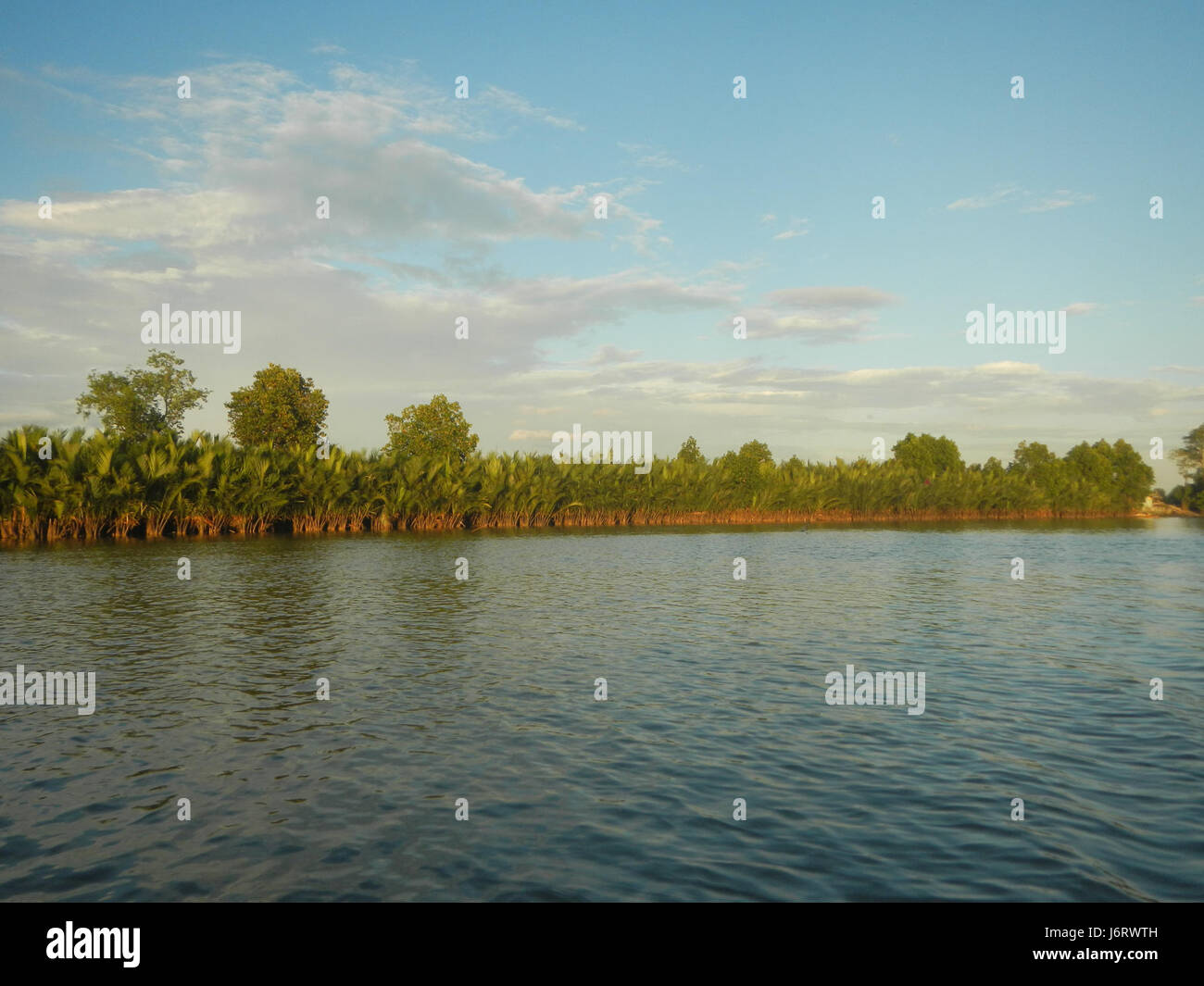 A view of the river districts of Panasahan and San Nicolas along the ...