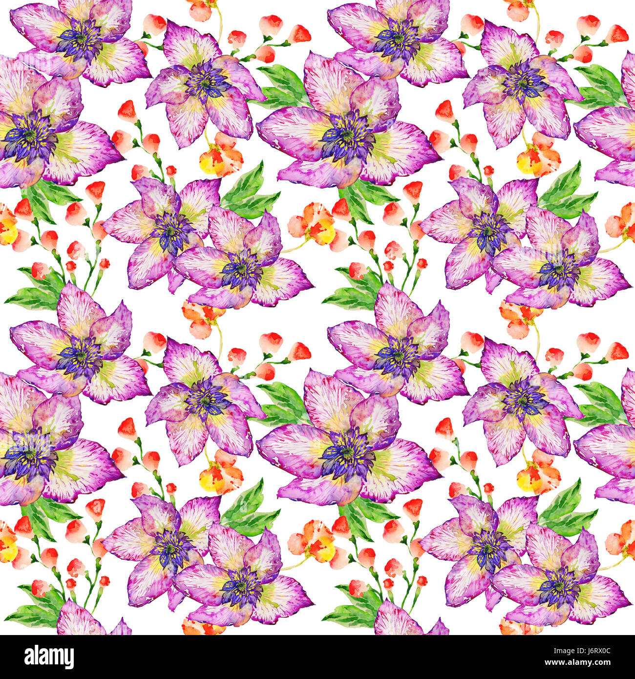 Wildflower hibiscus flower pattern in a watercolor style isolated Stock ...