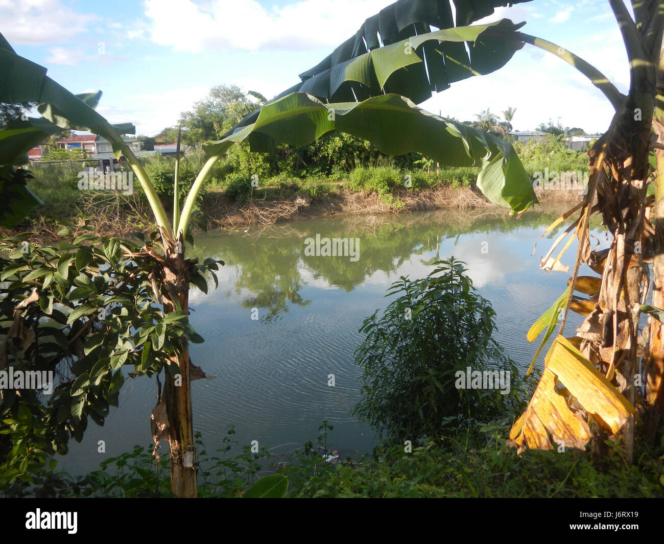 This image shows the agricultural landscape of Talampas, Bustos ...
