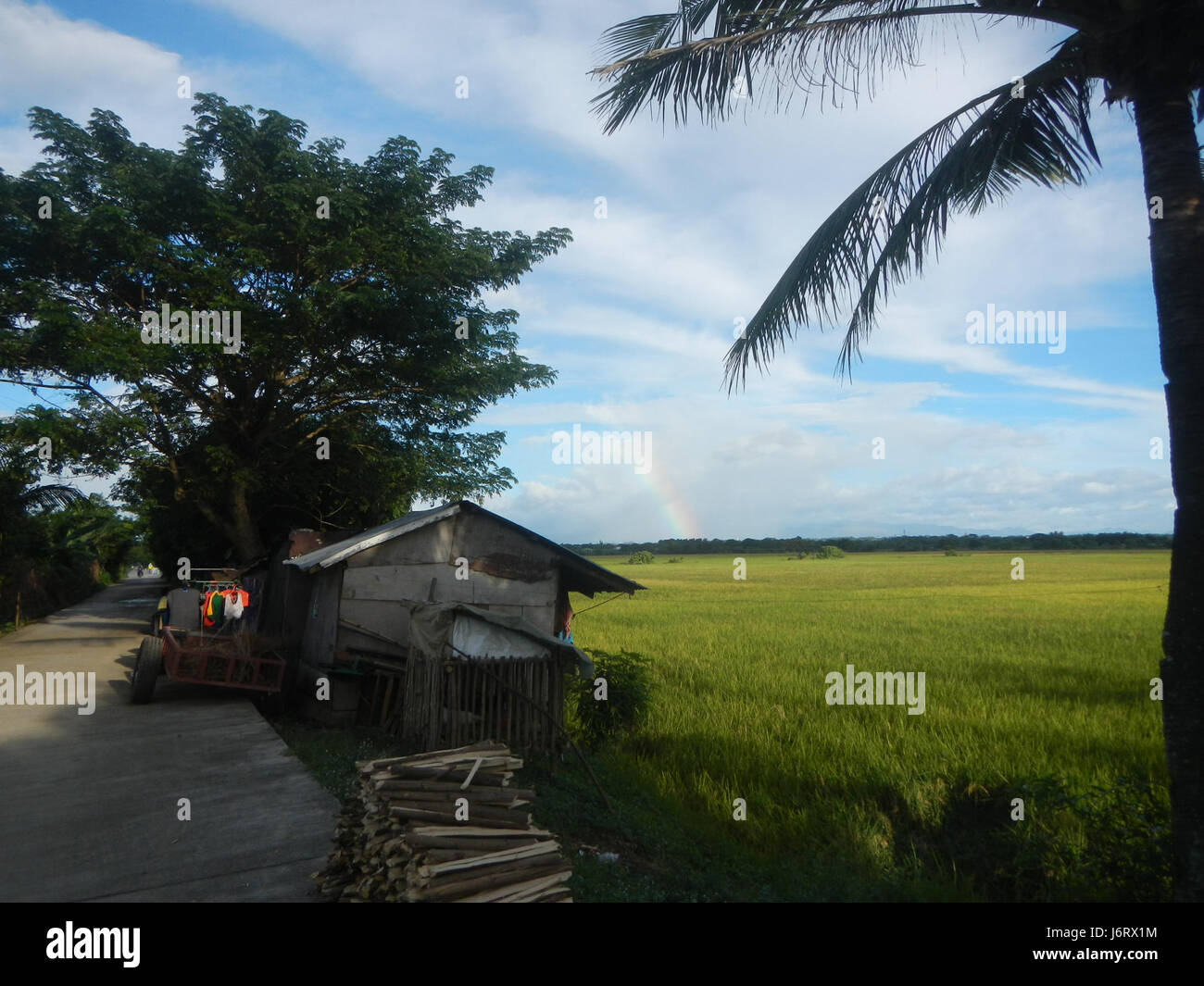 This image depicts the agricultural landscape of Talampas, Bustos ...