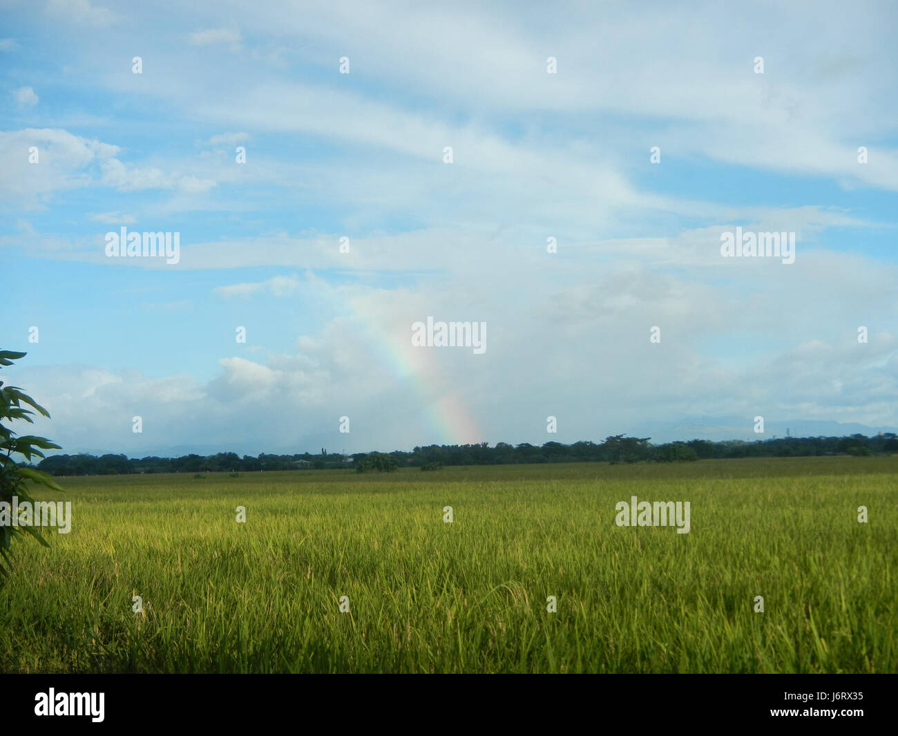 This image depicts the agricultural landscape of Talampas, Bustos ...