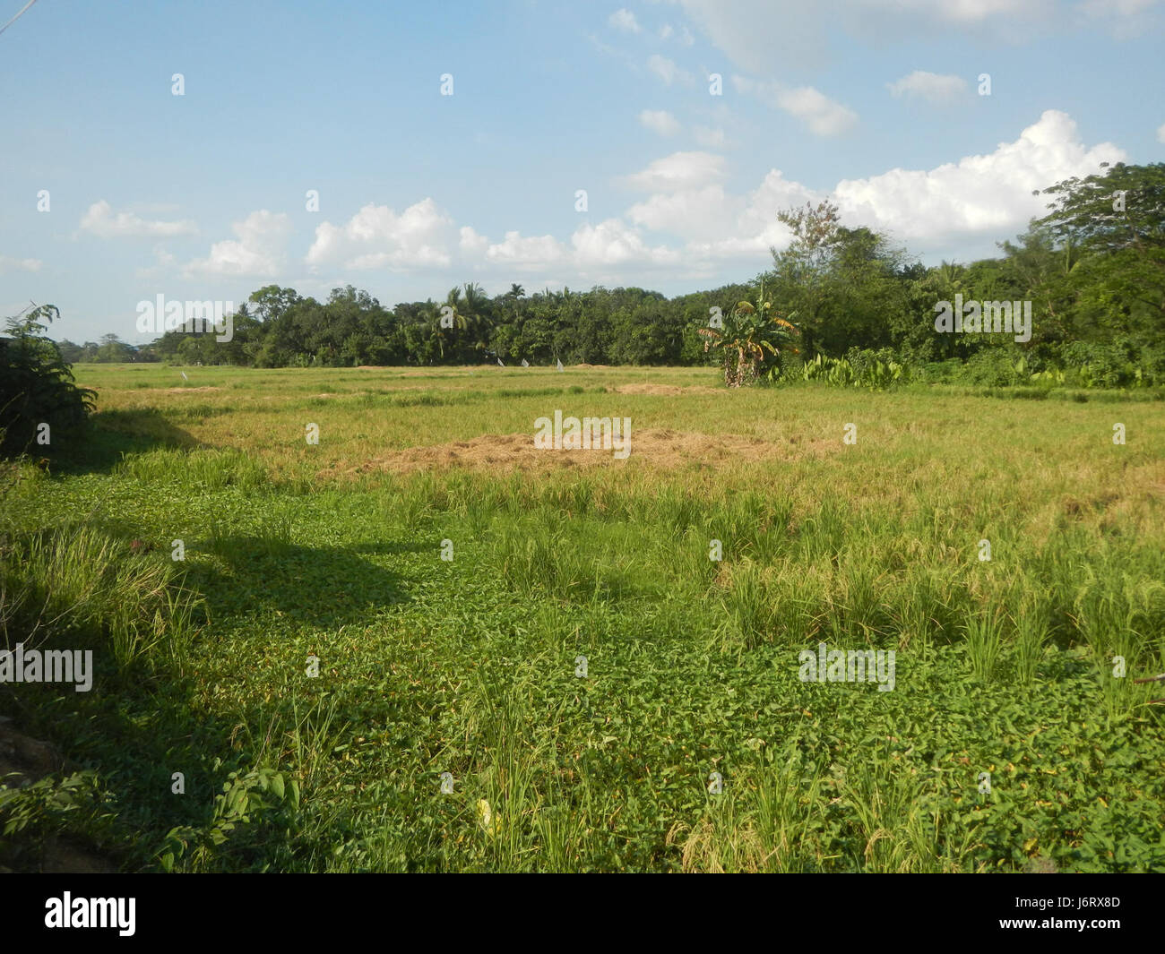 07915 Construction Tibag Dulong Malabon Pulilan Bulacan Landmarks 27 ...