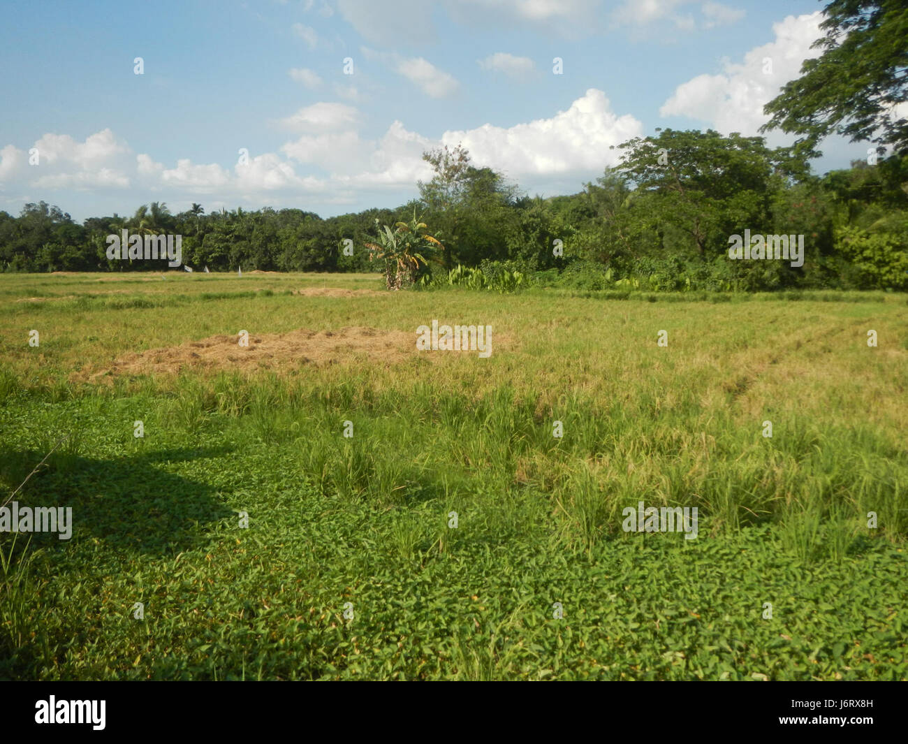 07915 Construction Tibag Dulong Malabon Pulilan Bulacan Landmarks 31 ...