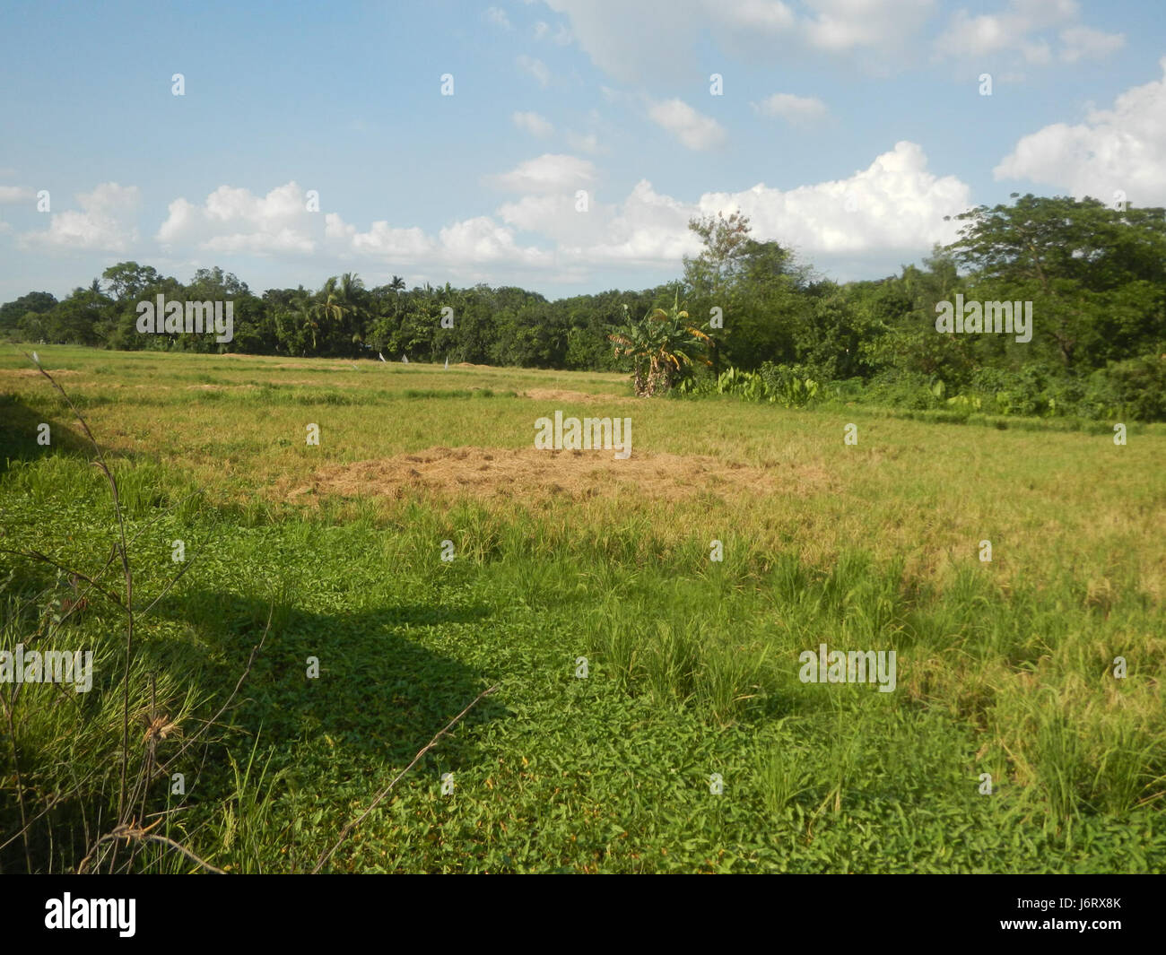 07915 Construction Tibag Dulong Malabon Pulilan Bulacan Landmarks 33 ...