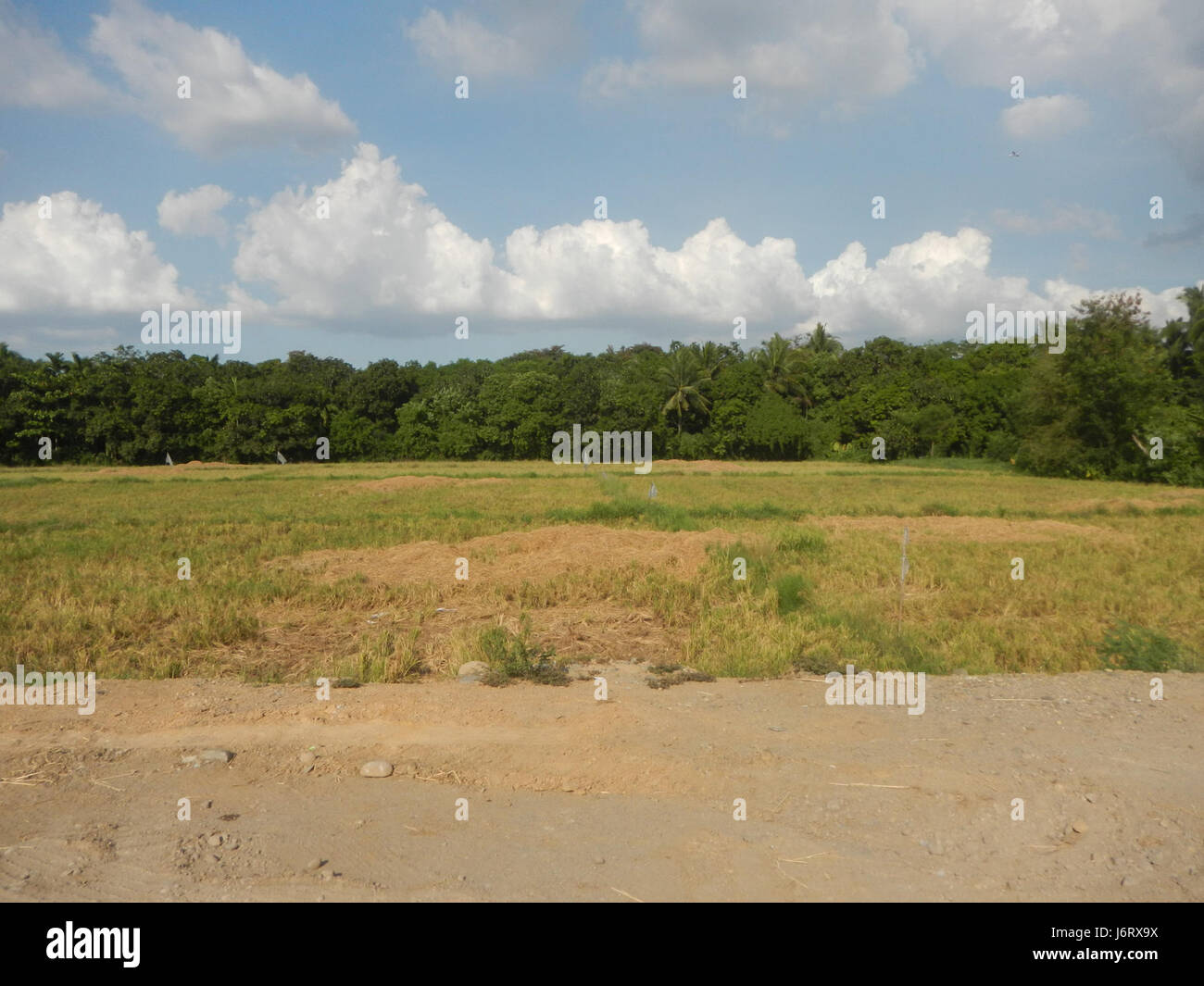 07964 Construction Tibag Dulong Malabon Pulilan Bulacan Landmarks 12 ...