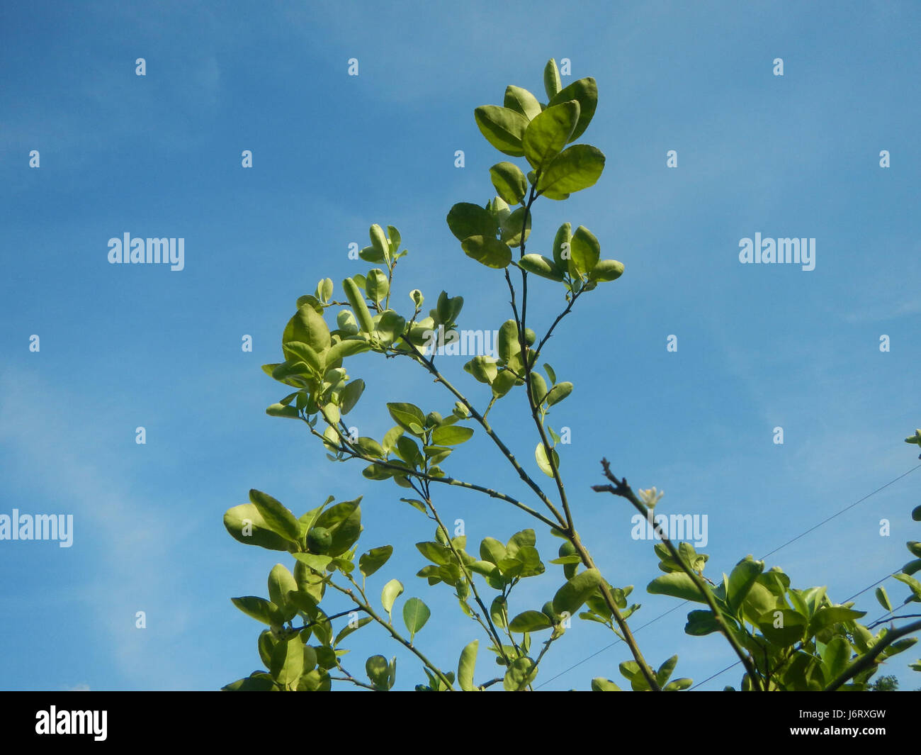 The 08133 Dayap is a reference to a location or project in Dayap ...