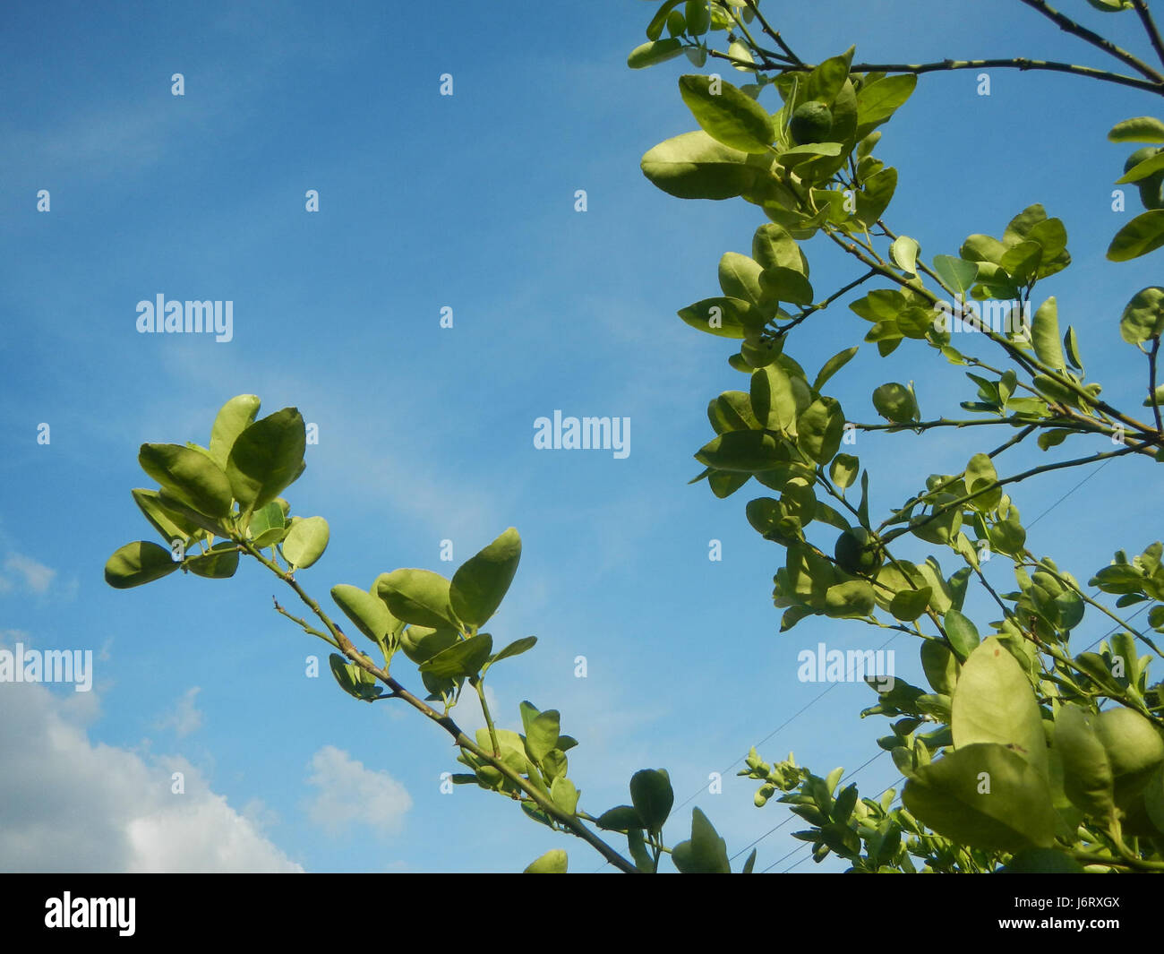 A photo taken in Dayap, Philippines, showing a scenic rural area with ...