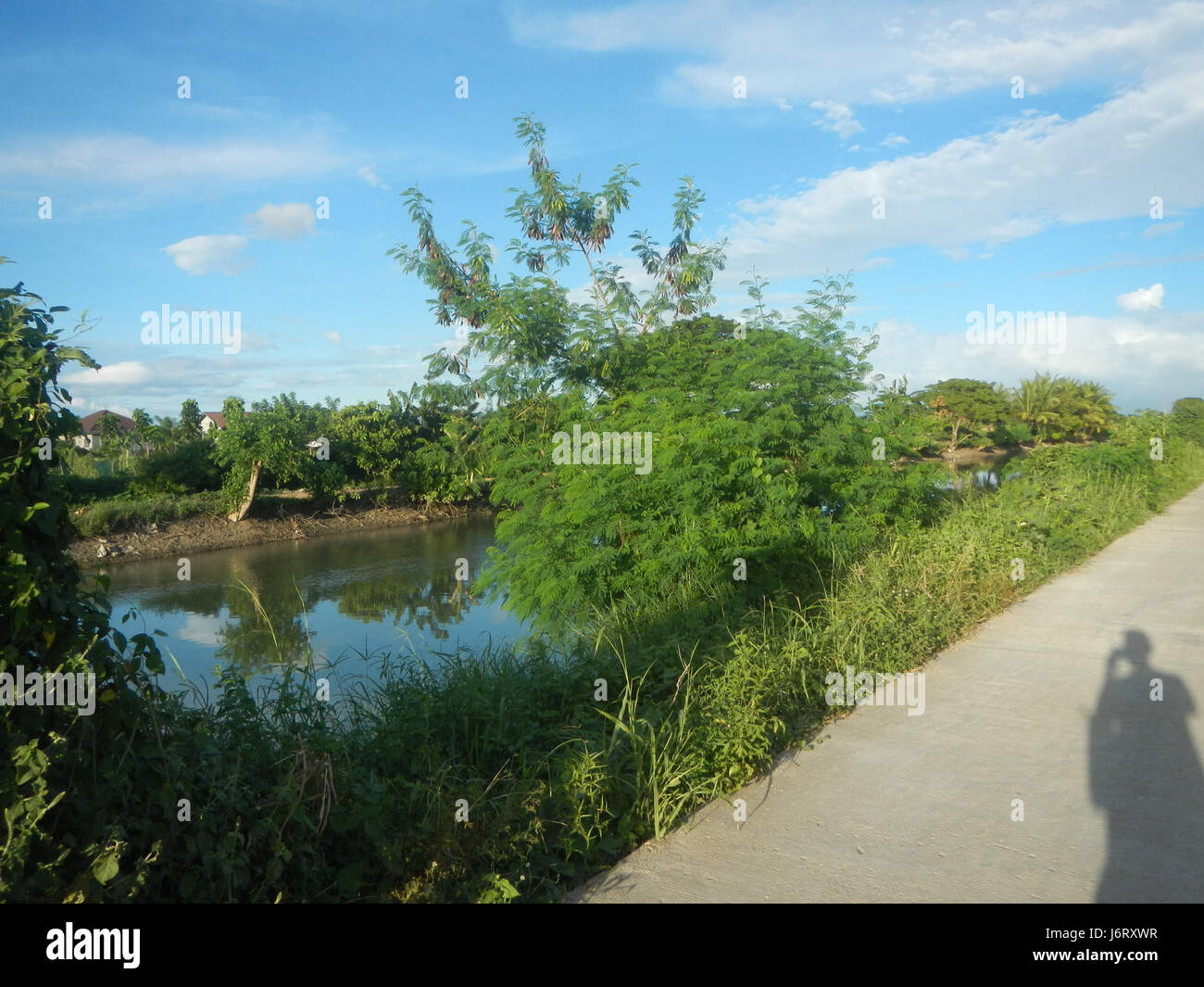09424 Paddy fields trees irrigation canals Farm to Market Road Talampas ...