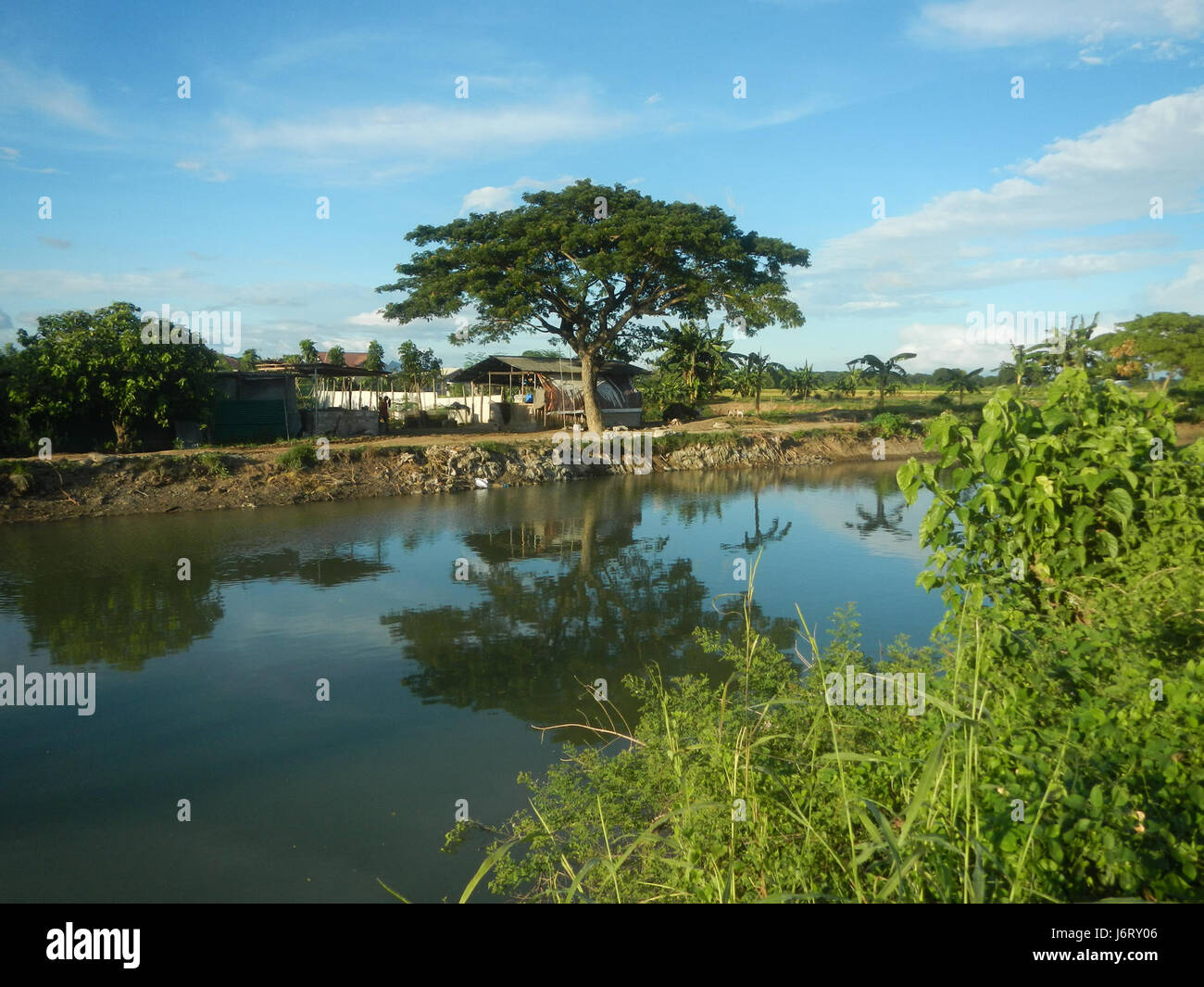 09424 Paddy fields trees irrigation canals Farm to Market Road Talampas ...