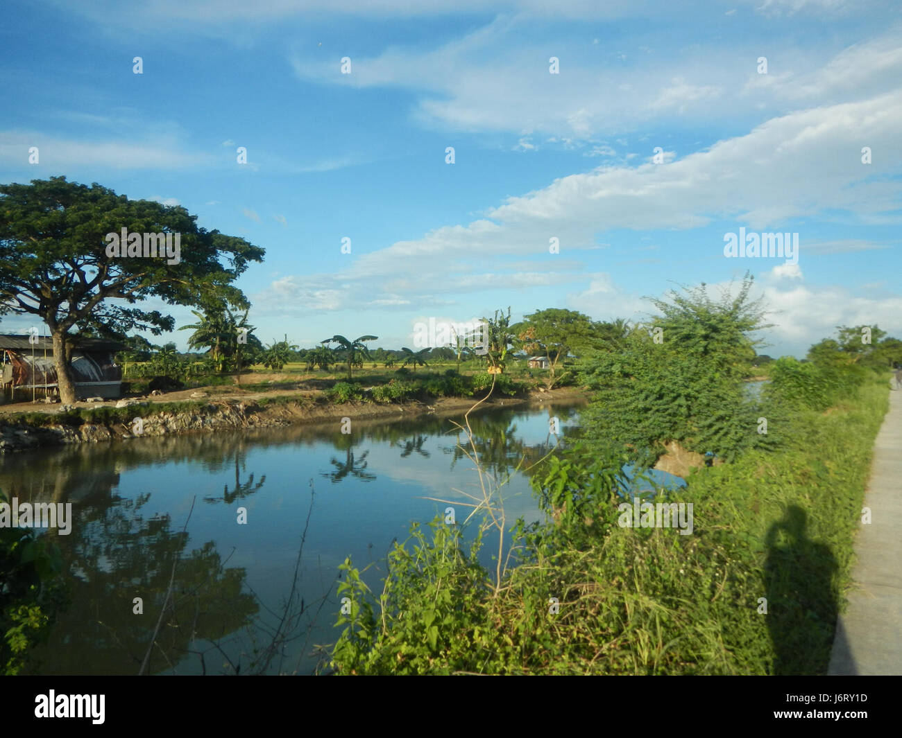09424 Paddy fields trees irrigation canals Farm to Market Road Talampas ...