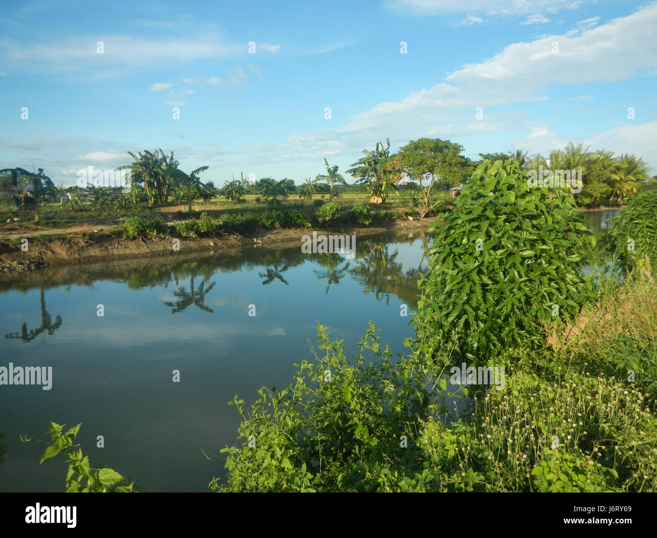 09424 Paddy fields trees irrigation canals Farm to Market Road Talampas ...