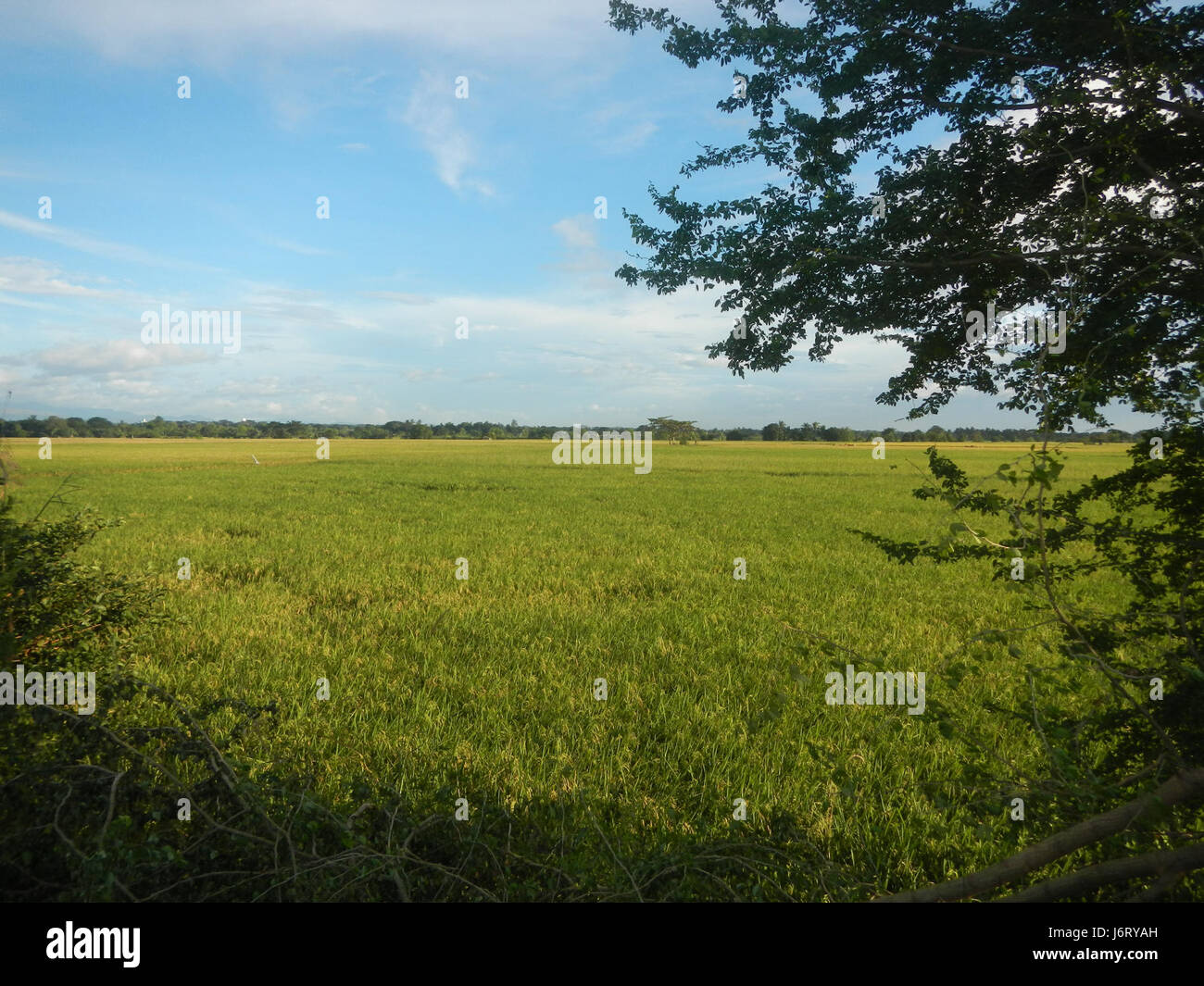 The area depicted is part of the agricultural landscape in Talampas ...