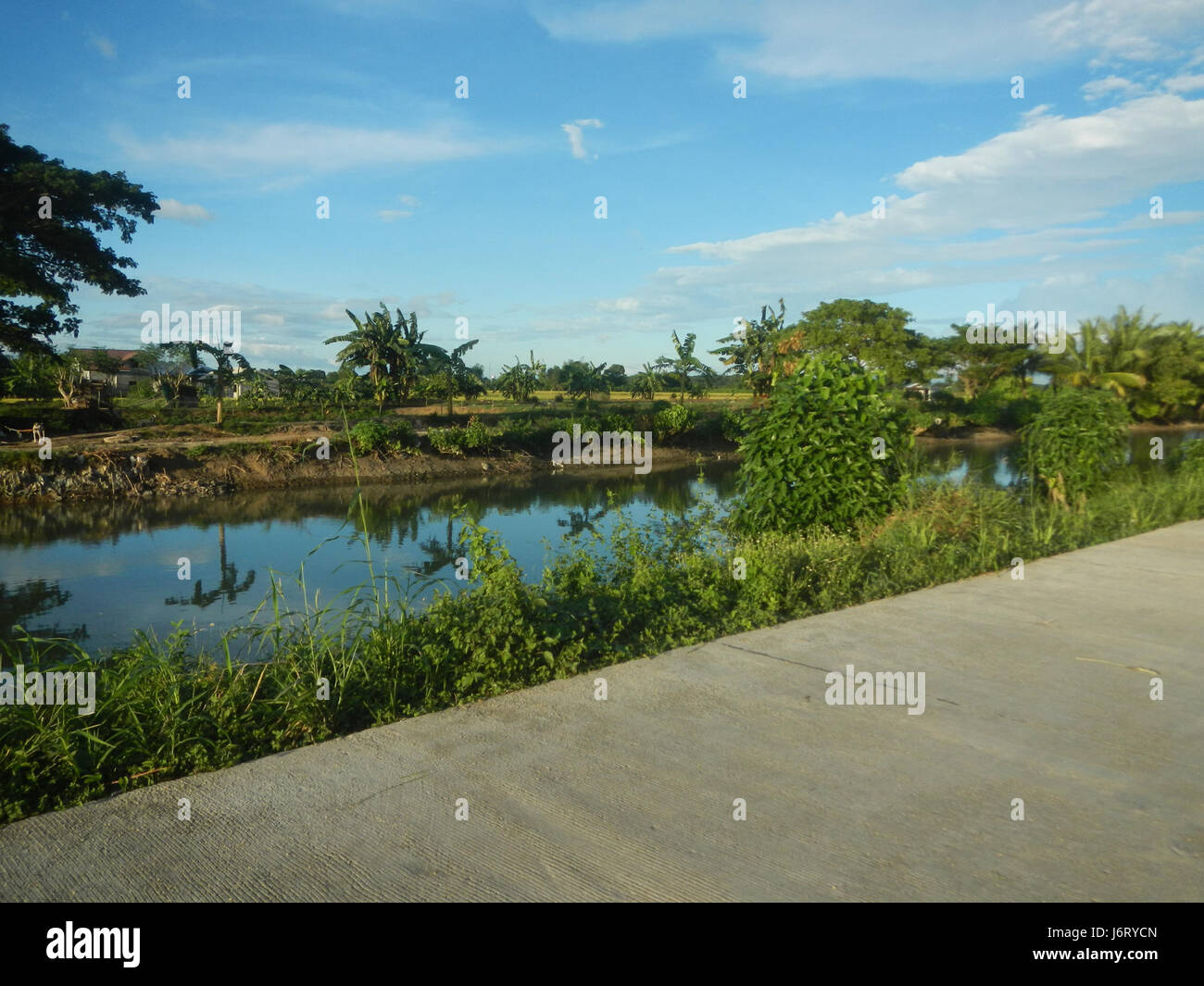 The image showcases paddy fields in Talampas, Bustos, Bulacan, with a ...