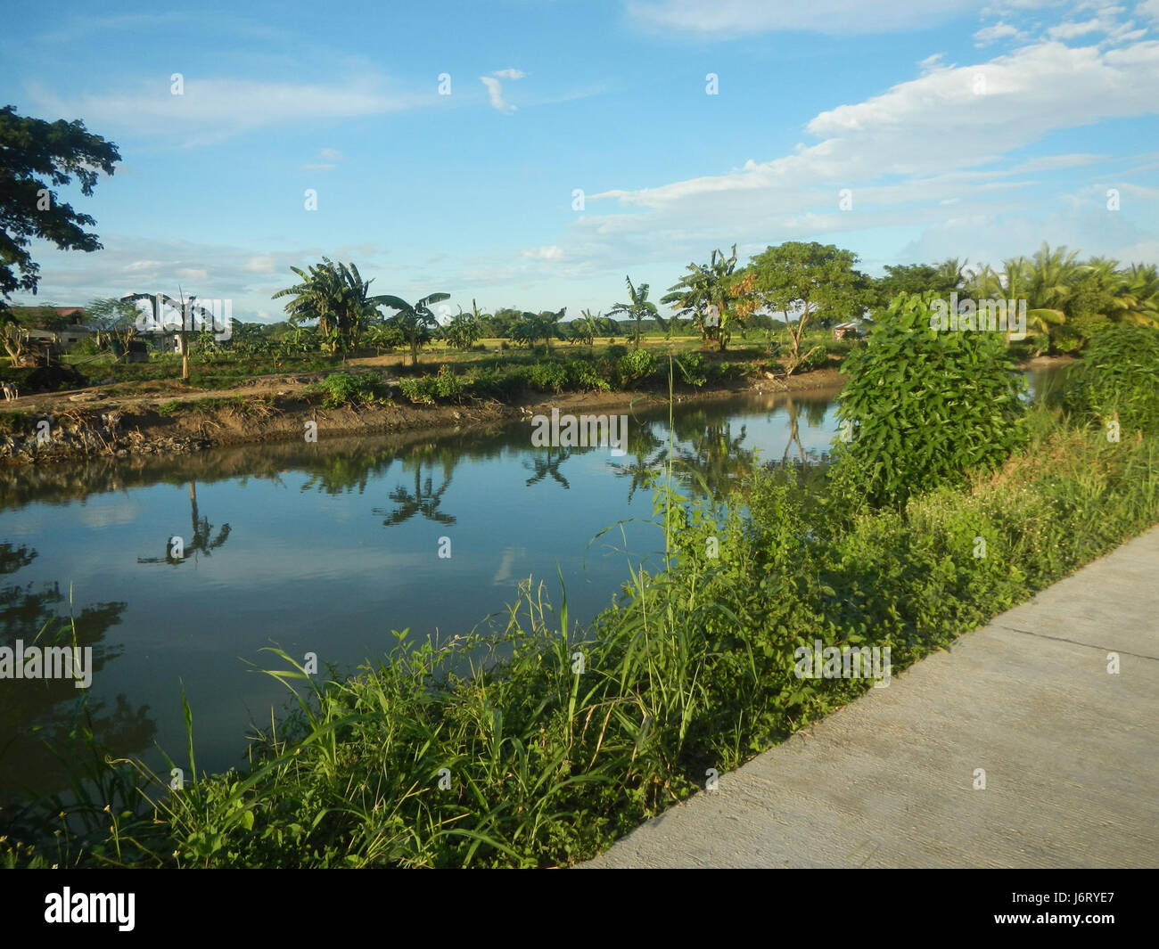 This image shows the paddy fields, trees, and irrigation canals along ...