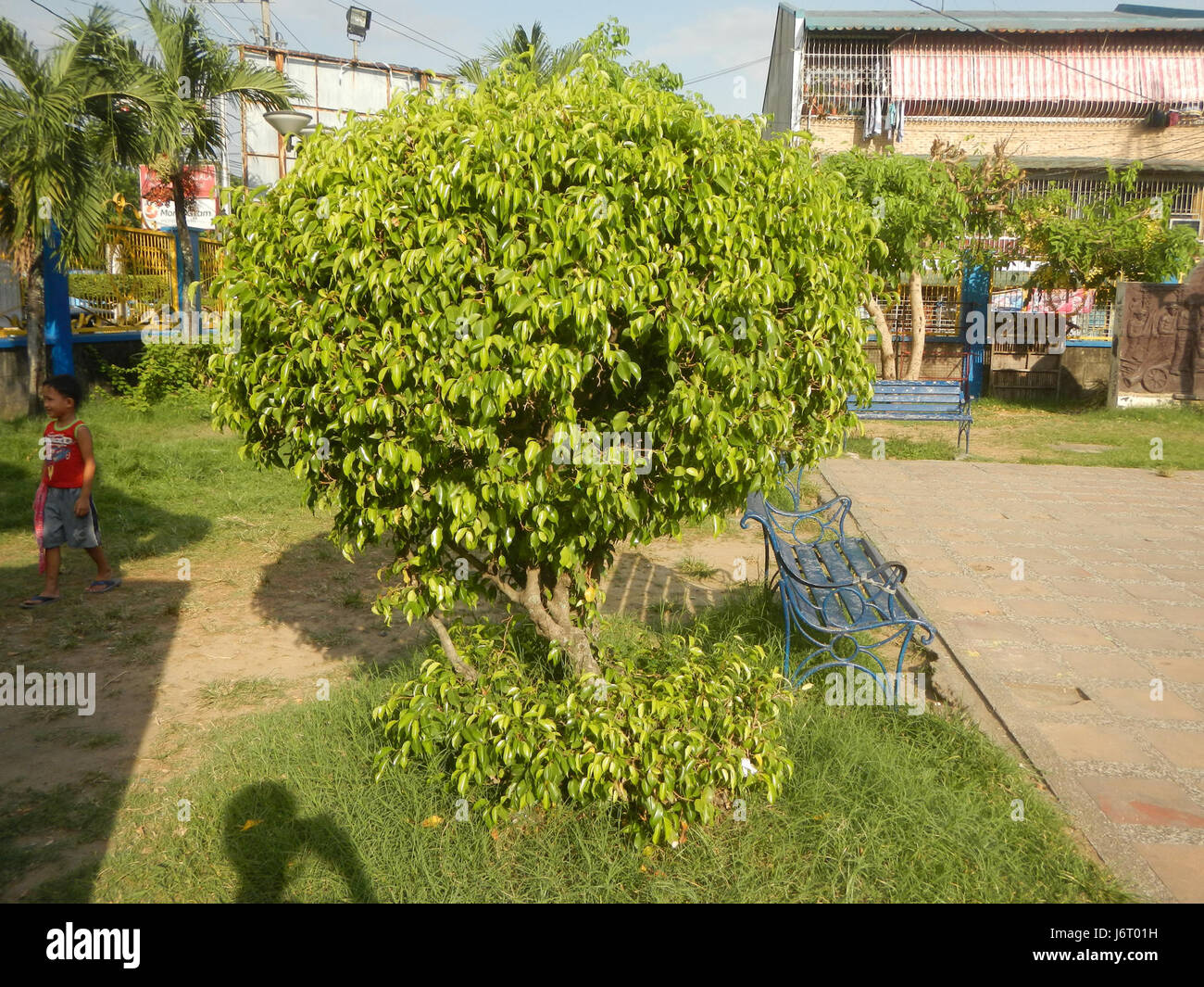 The Bulacan Municipal Hall, located in the province of Bulacan ...