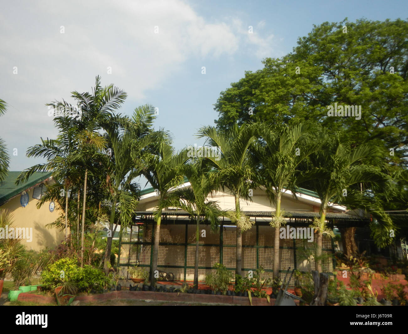 This image captures the Holy Cross Fiesta held in Narra, Philippines ...