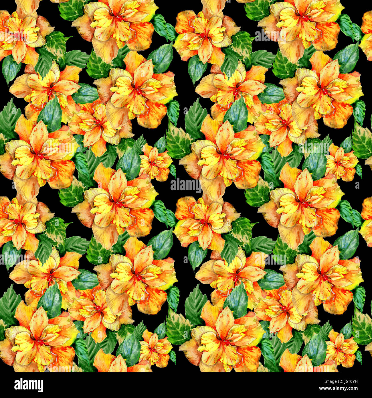Wildflower hibiscus flower pattern in a watercolor style isolated Stock ...