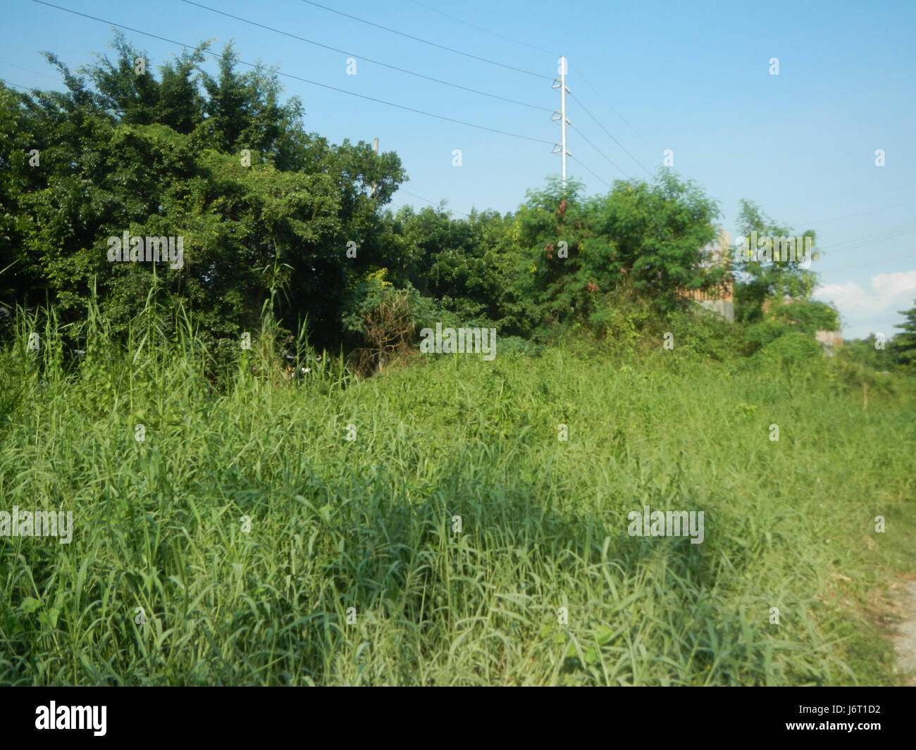 096156 Malolos City Bridge NBN ZTE corruption scandal MacArthur Highway ...