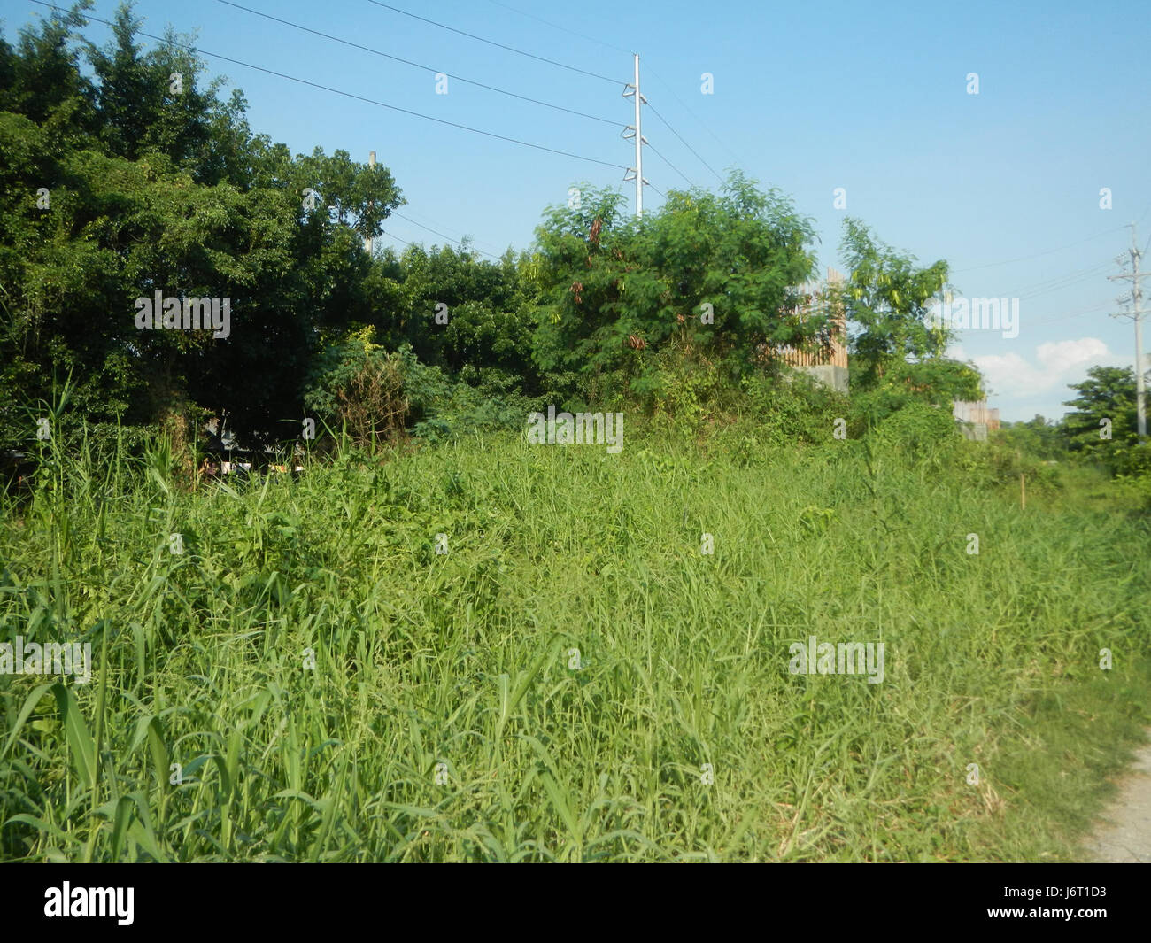 096156 Malolos City Bridge NBN ZTE corruption scandal MacArthur Highway ...