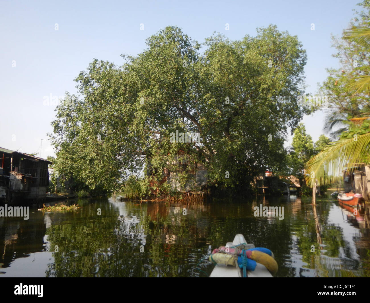 09748 Malolos River Districts City Nipa trees Bulacan Landmarks 02 ...