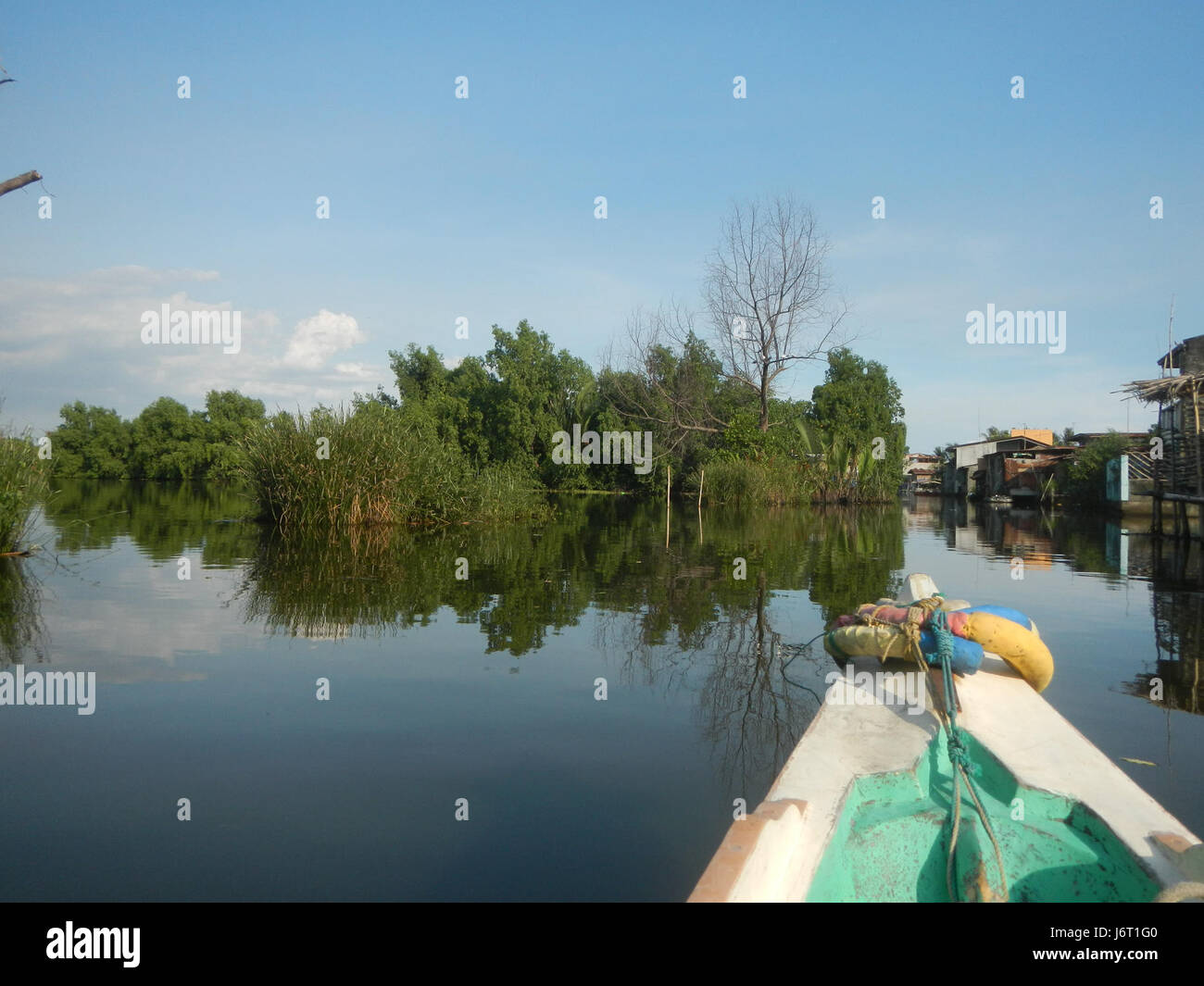 The Malolos River in Bulacan is surrounded by nipa trees, a common ...