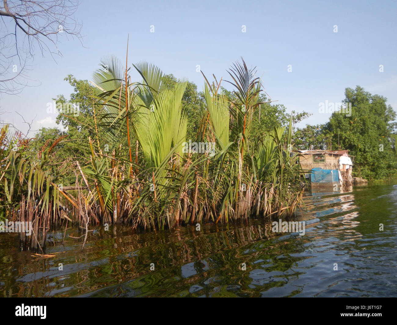 09748 Malolos River Districts City Nipa trees Bulacan Landmarks 27 ...