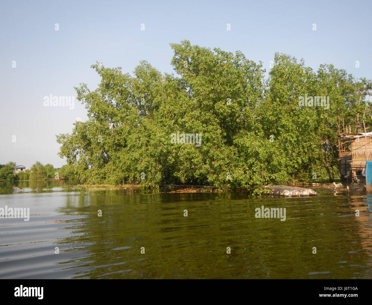 09748 Malolos River Districts City Nipa trees Bulacan Landmarks 29 ...