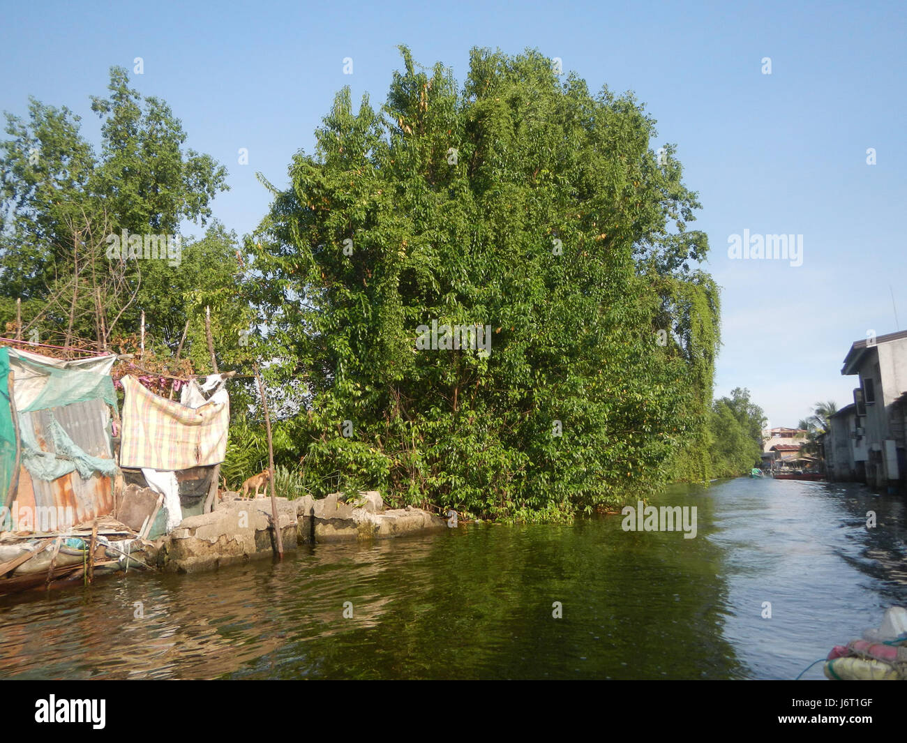 09748 Malolos River Districts City Nipa trees Bulacan Landmarks 33 ...