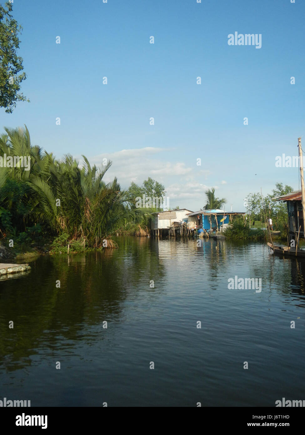09827 Malolos River Districts City Nipa trees Bulacan Landmarks 08 ...