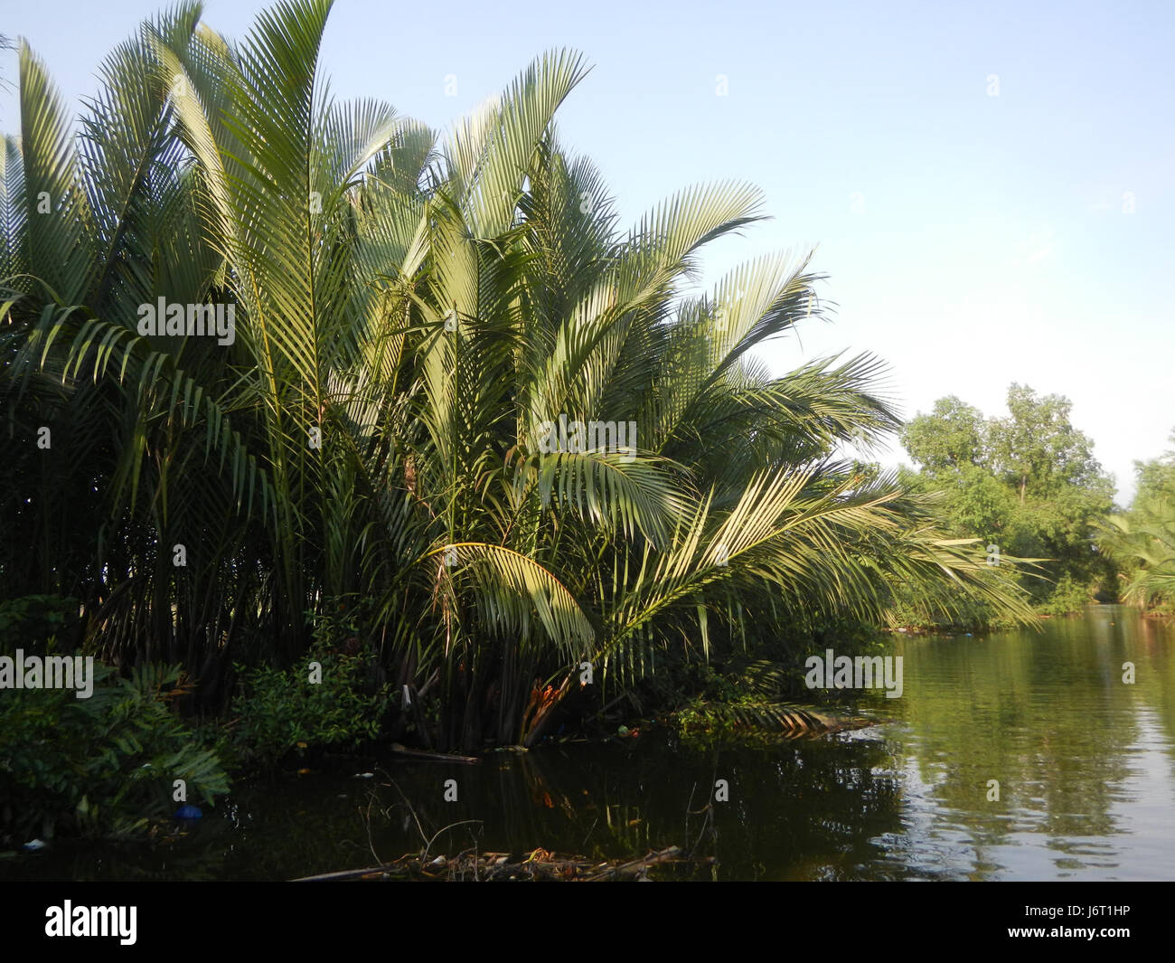 An image or map showing the Malolos River Districts in Bulacan ...