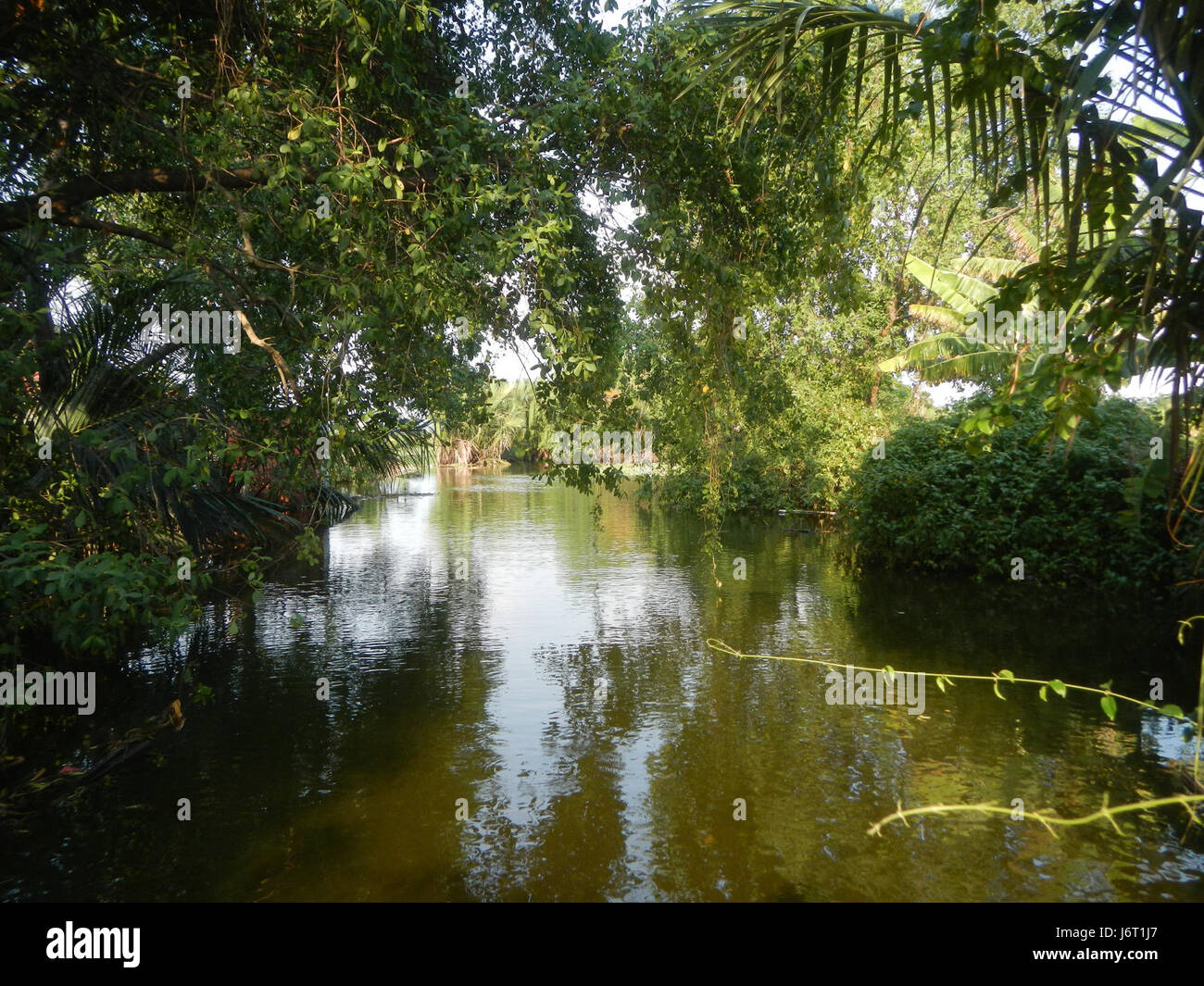 09827 Malolos River Districts City Nipa trees Bulacan Landmarks 25 ...