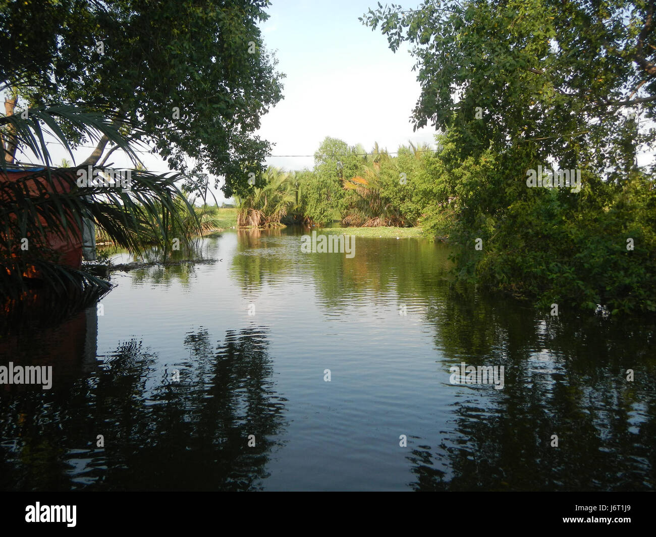 09827 Malolos River Districts City Nipa trees Bulacan Landmarks 27 ...